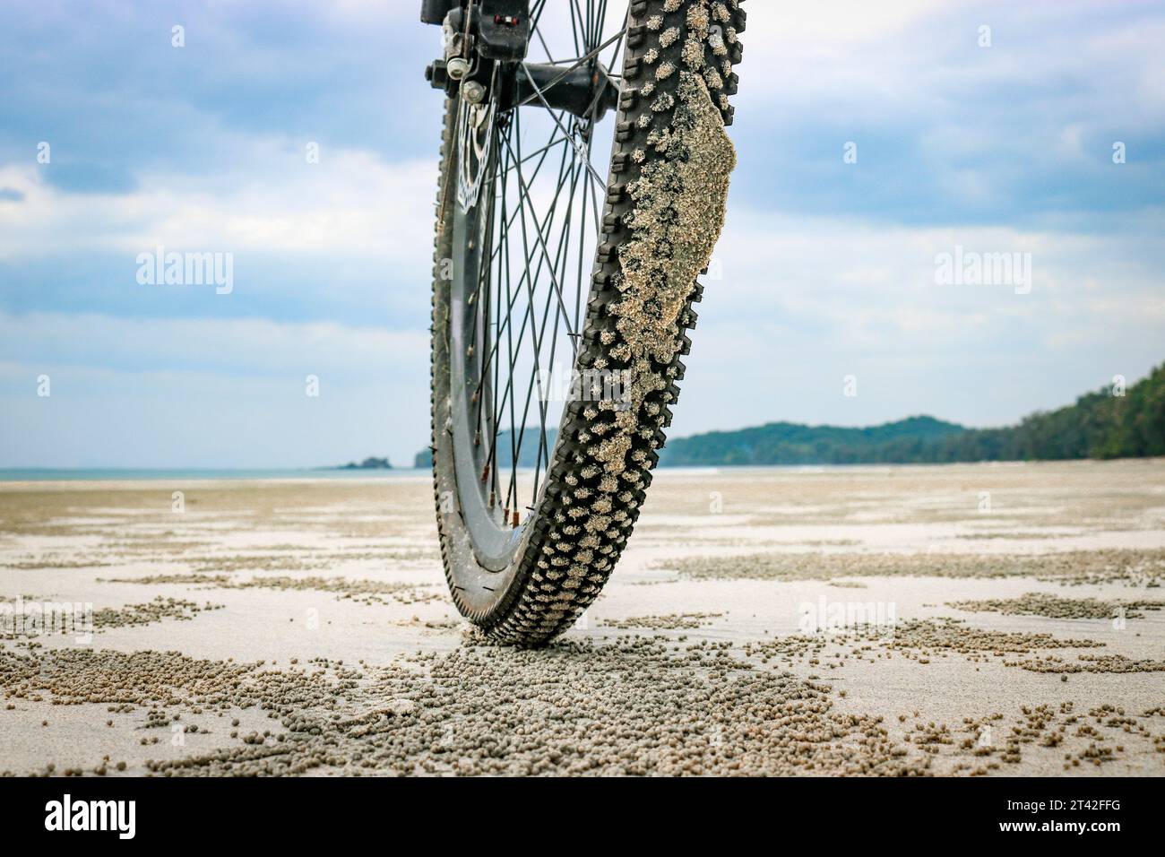 Mountain bike wheel on the sand on the beach, travel on a tropical island. The concept of ...