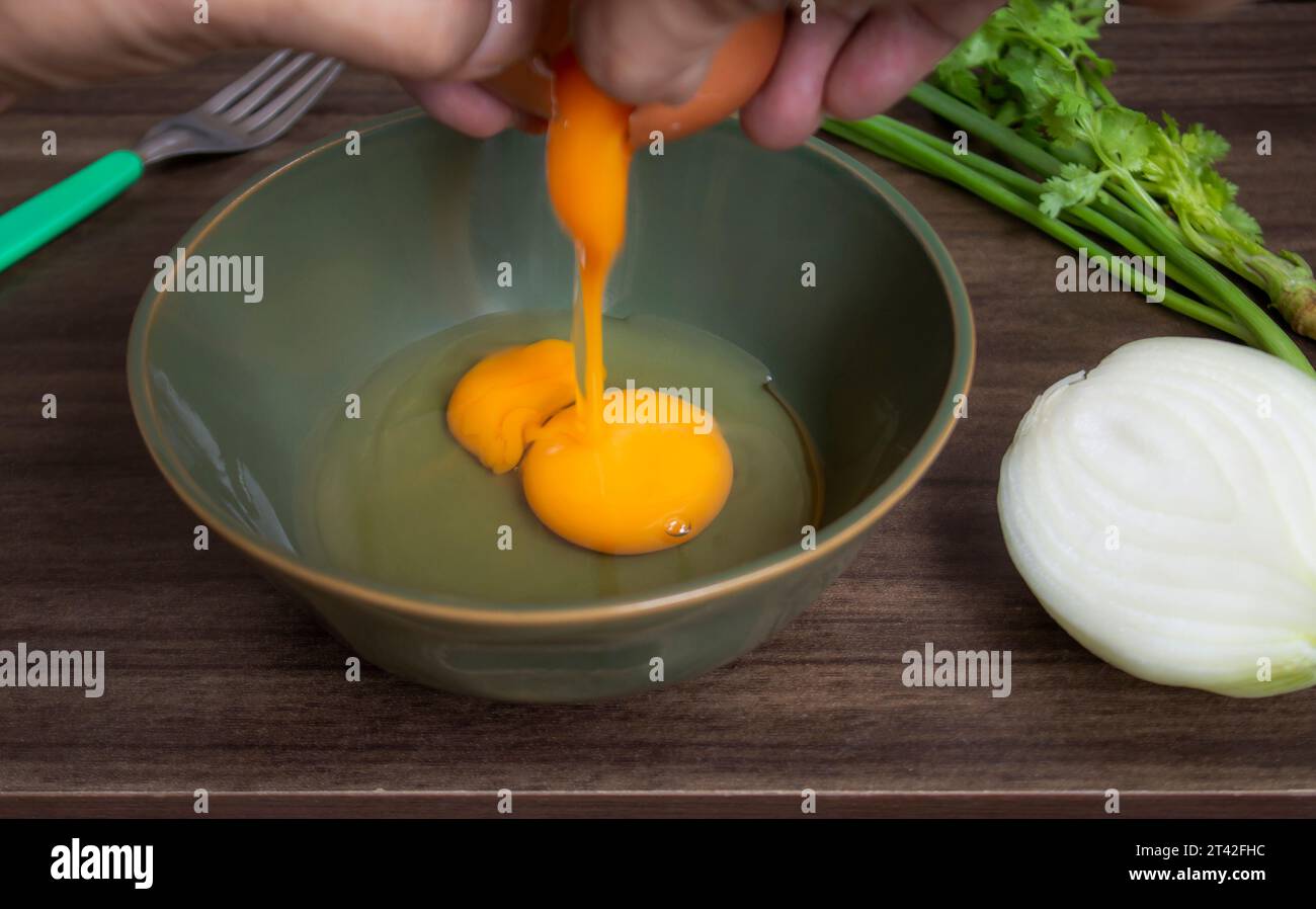 Fresh natural eggs in a bowl with spring onions and coriander to ...