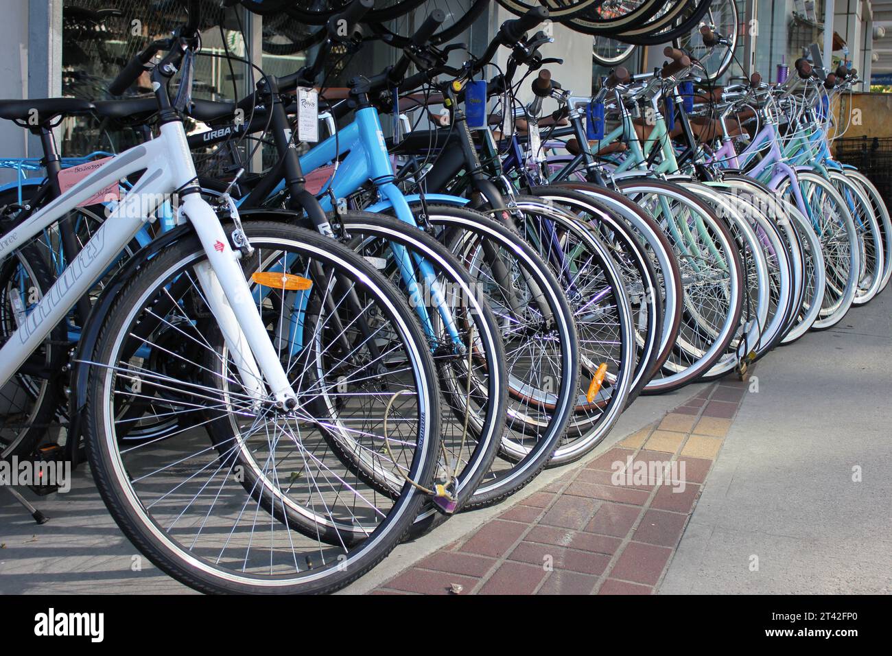 A diverse group of bicycles parked in an orderly row outside a retail ...