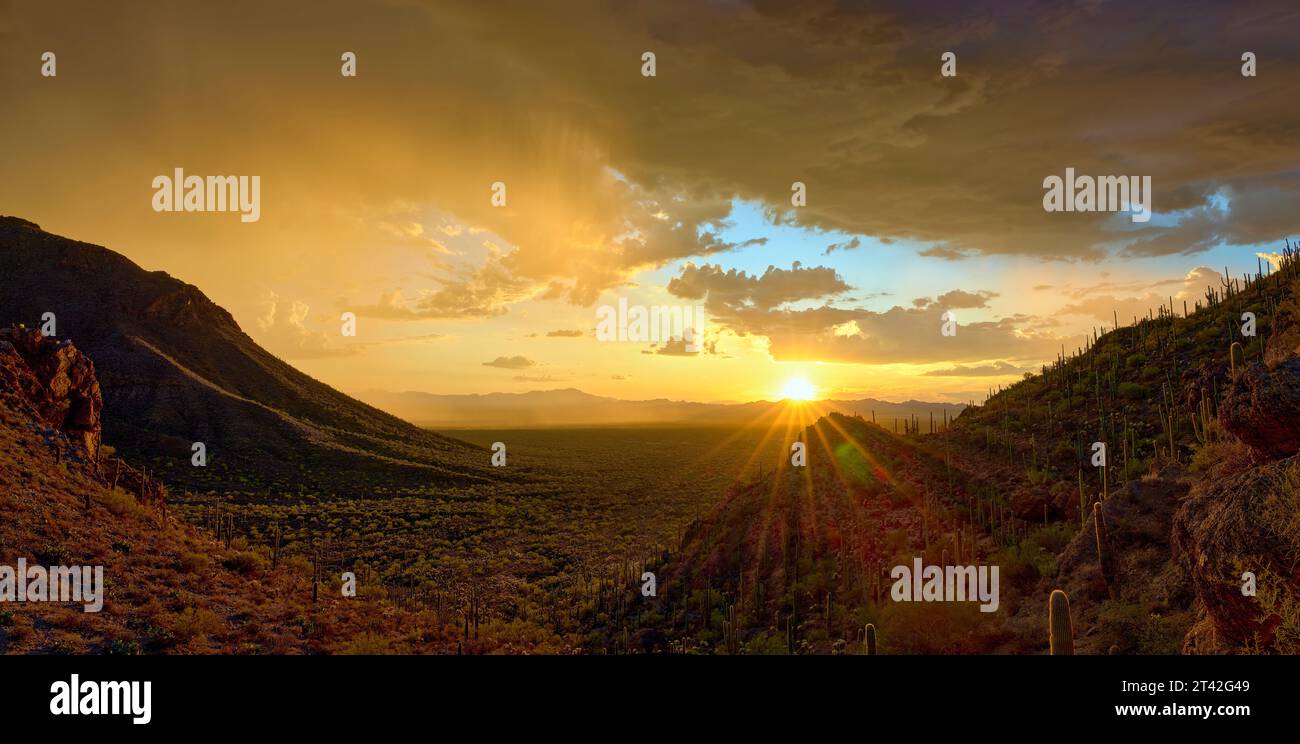 Silhouetted gates hi-res stock photography and images - Alamy