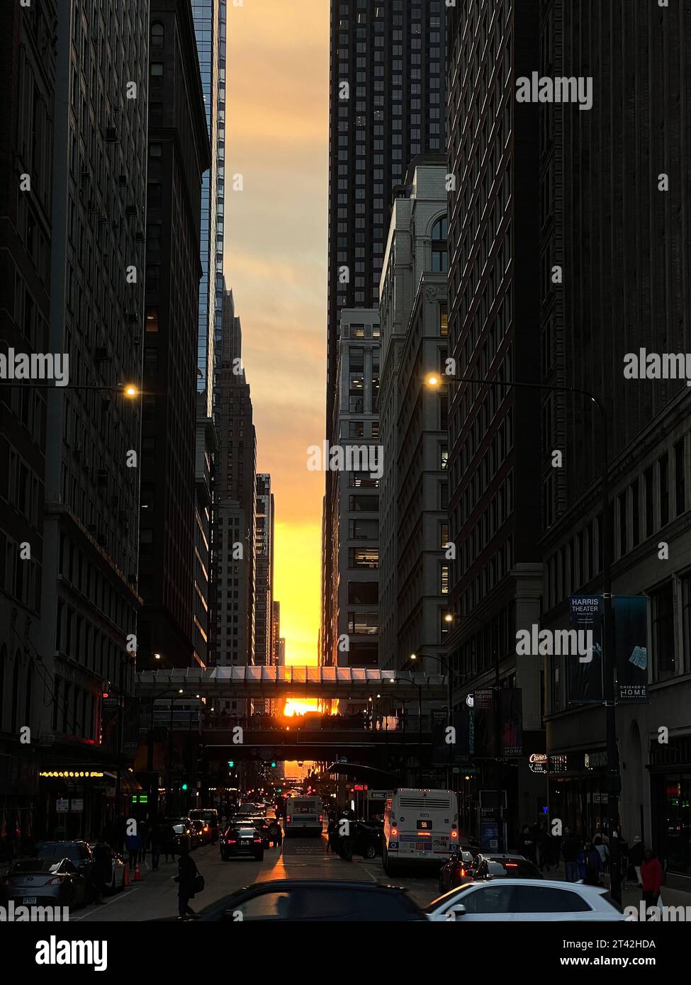 A vertical of a busy street in Chicago at golden hour Stock Photo - Alamy
