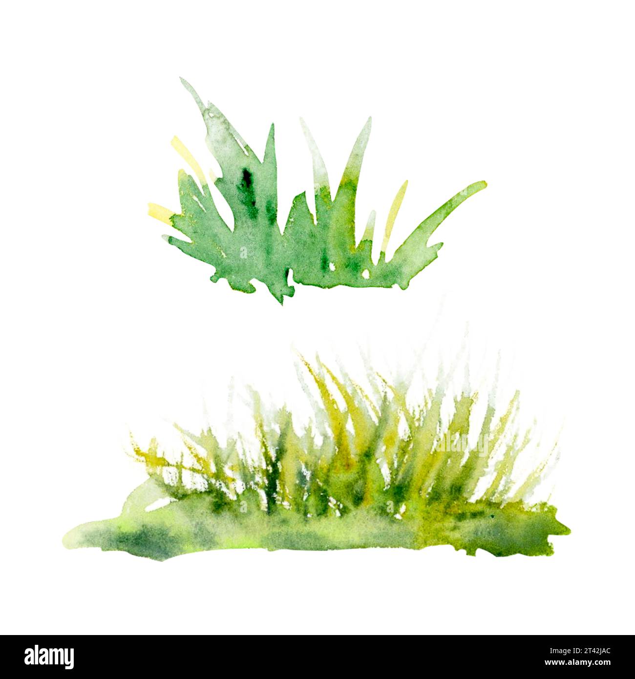 Watercolor aquarelle drawing set of park grass lawn dark and light ...