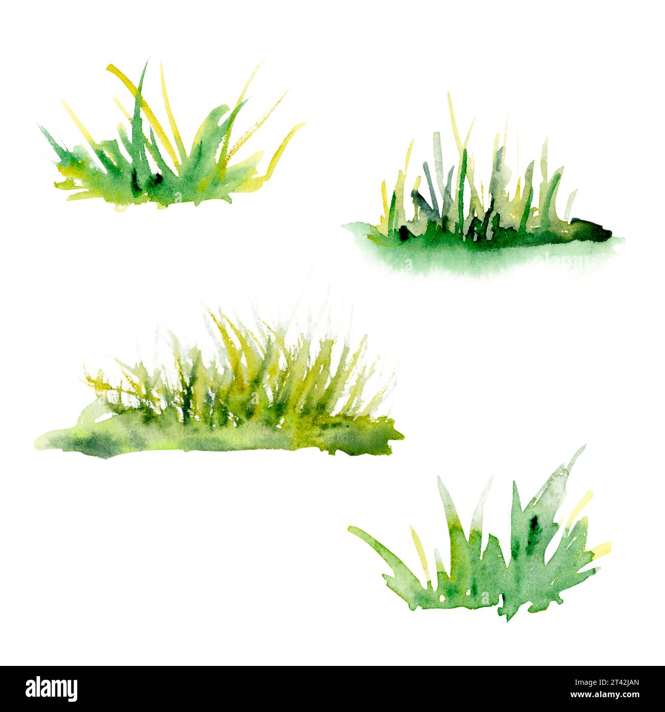 Watercolor aquarelle drawing set of camping field grass lawn yellow ...