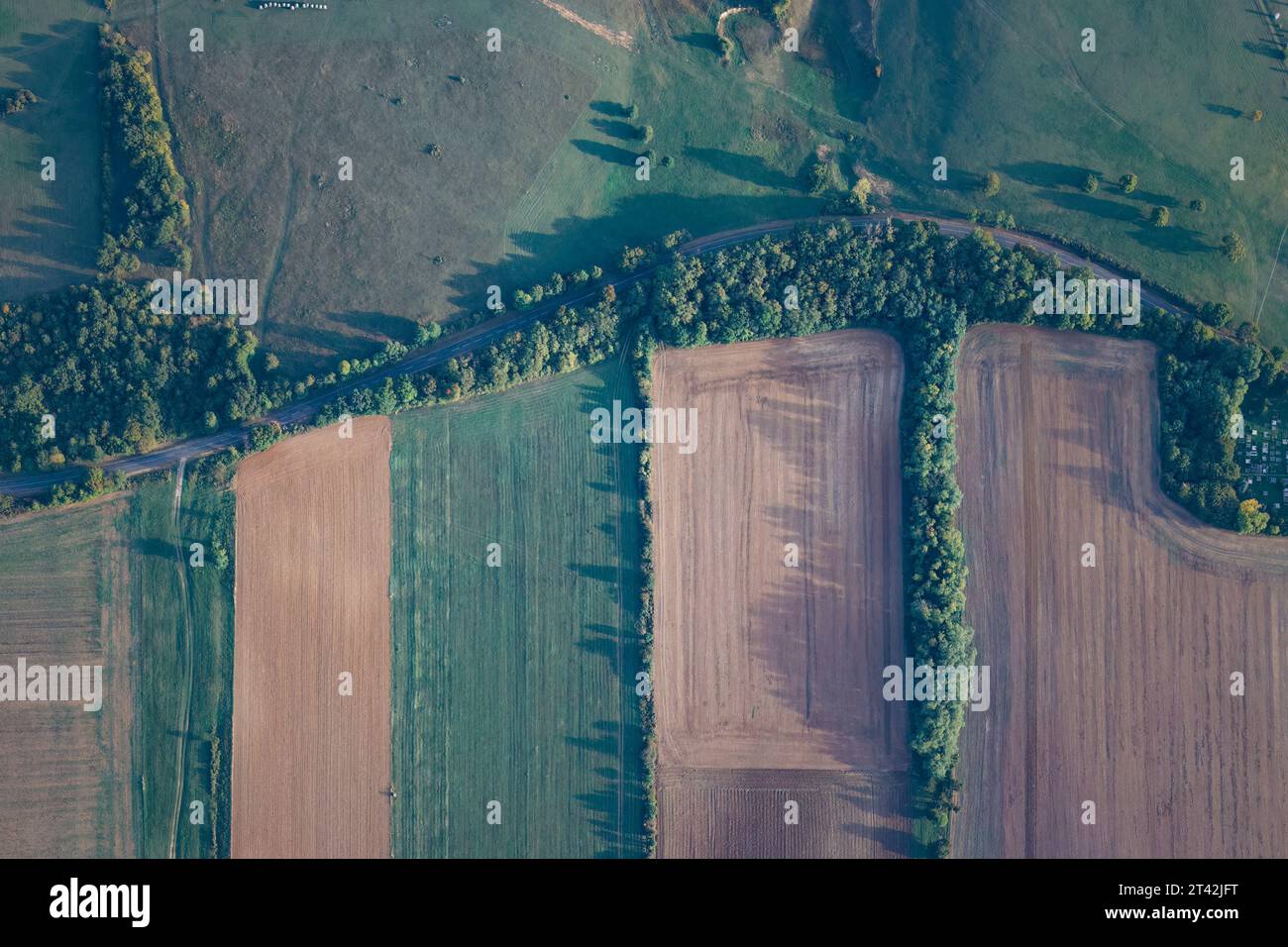 Aerial view of a rural landscape, featuring vibrant green crops ...