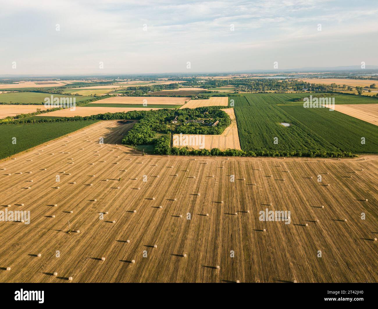 Aerial view of a rural landscape, featuring vibrant green crops ...