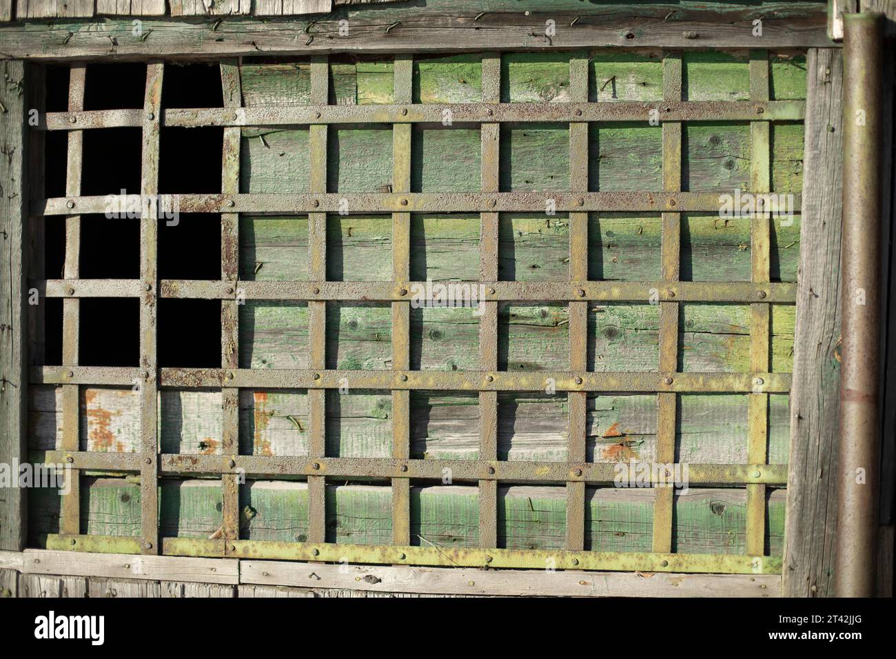 Grille in an old house. Old grille on the window. Steel cage. Details ...