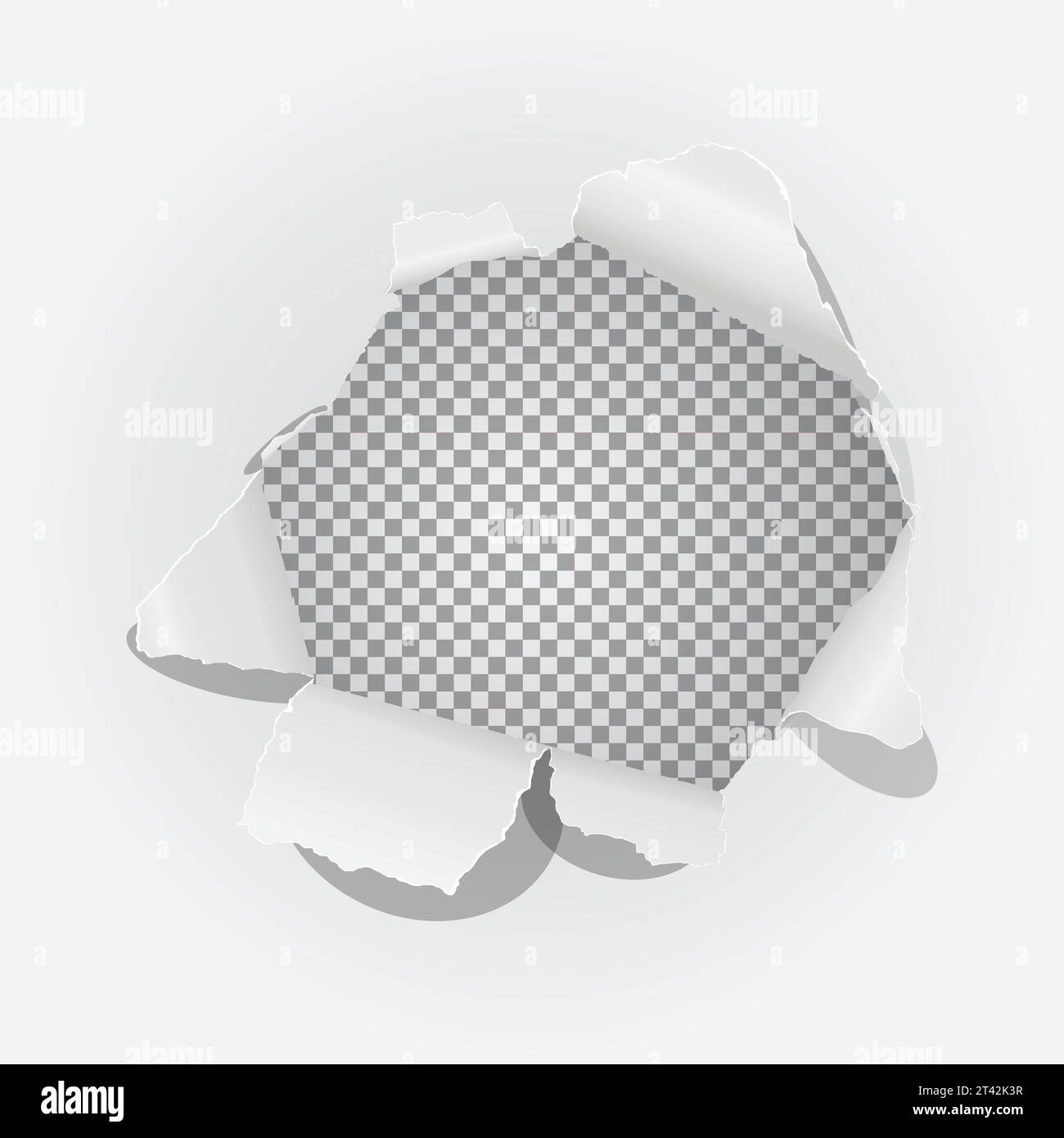 Torn paper cut effect isolated background Vector Image Stock Vector ...