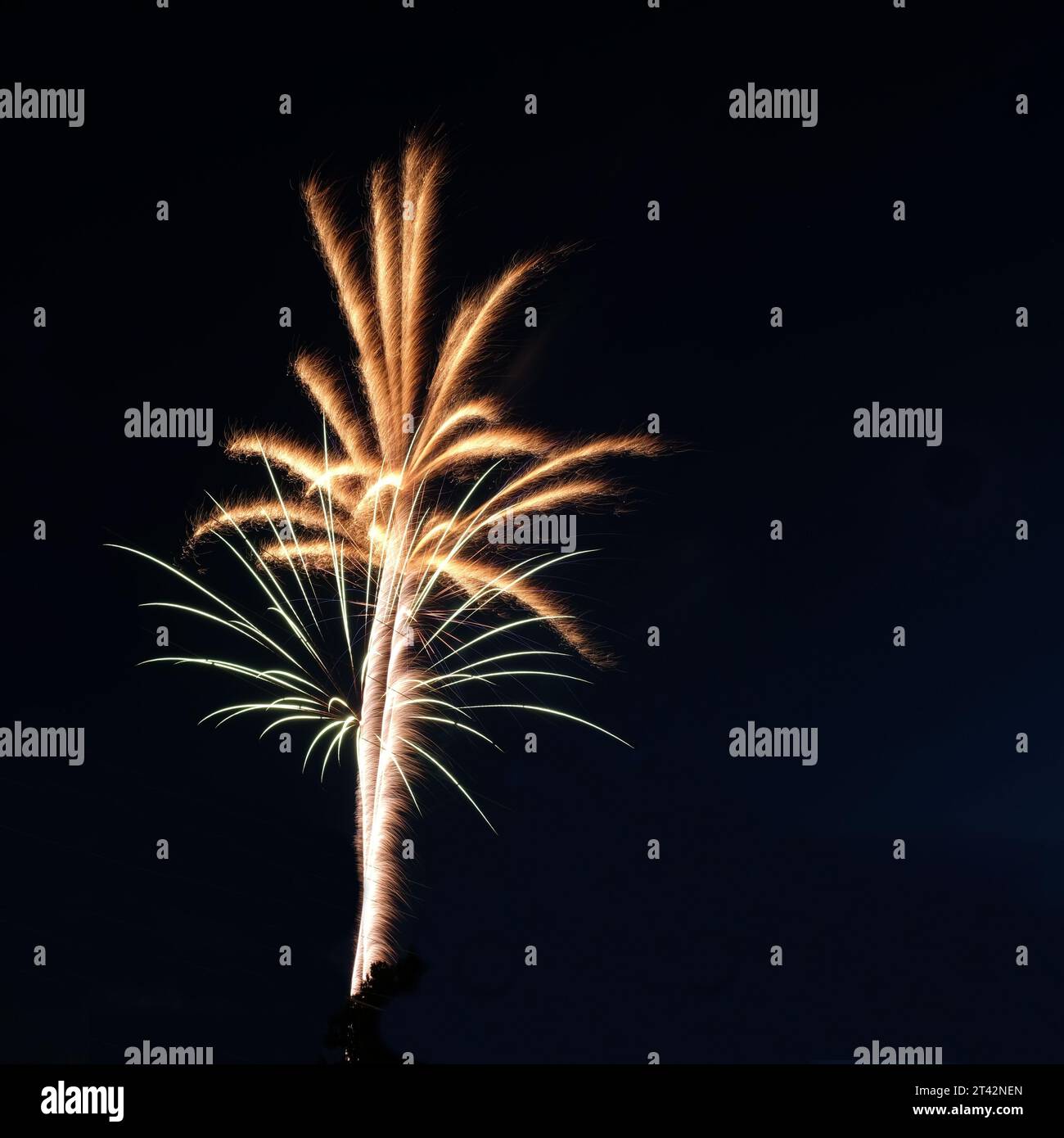 A majestic palm tree illuminated in the night sky, with a vibrant ...