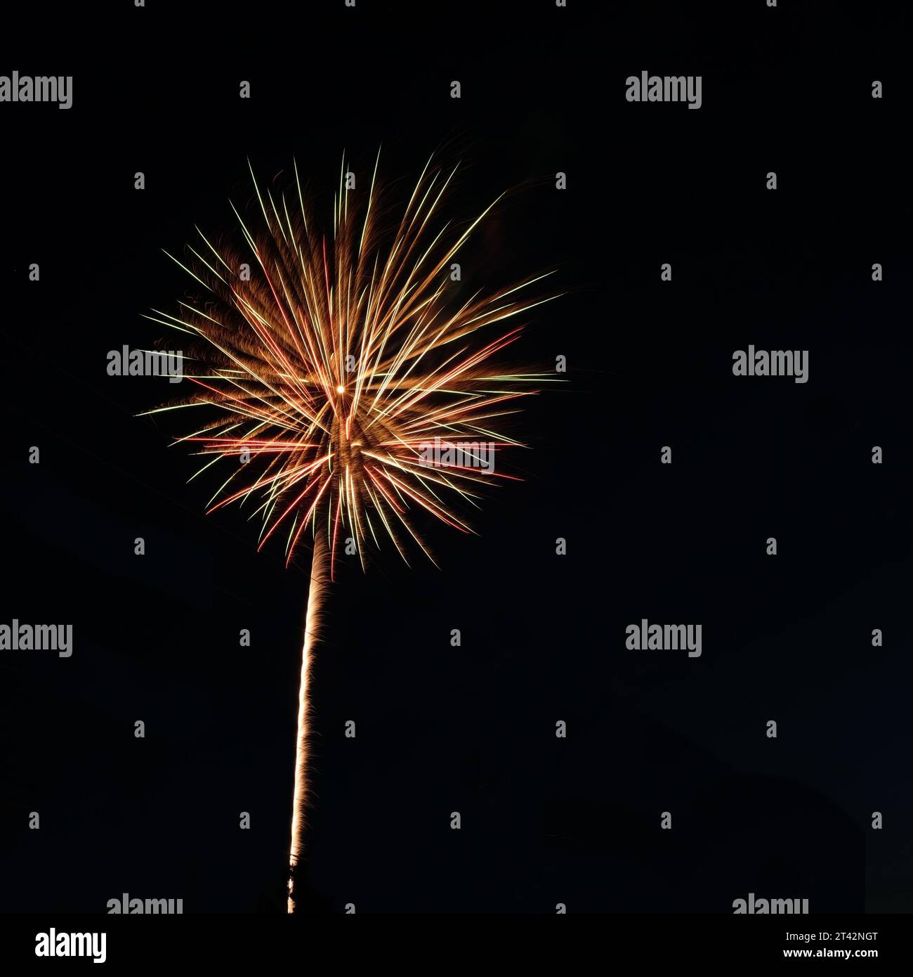 A brightly lit display of fireworks illuminating the dark night sky ...