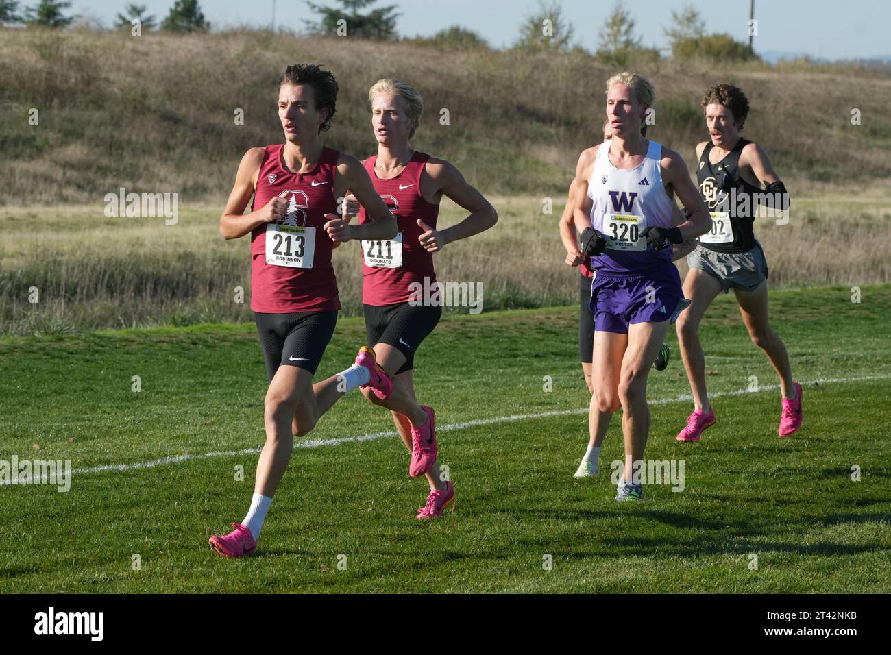 Ky robinson 213 hi-res stock photography and images - Alamy