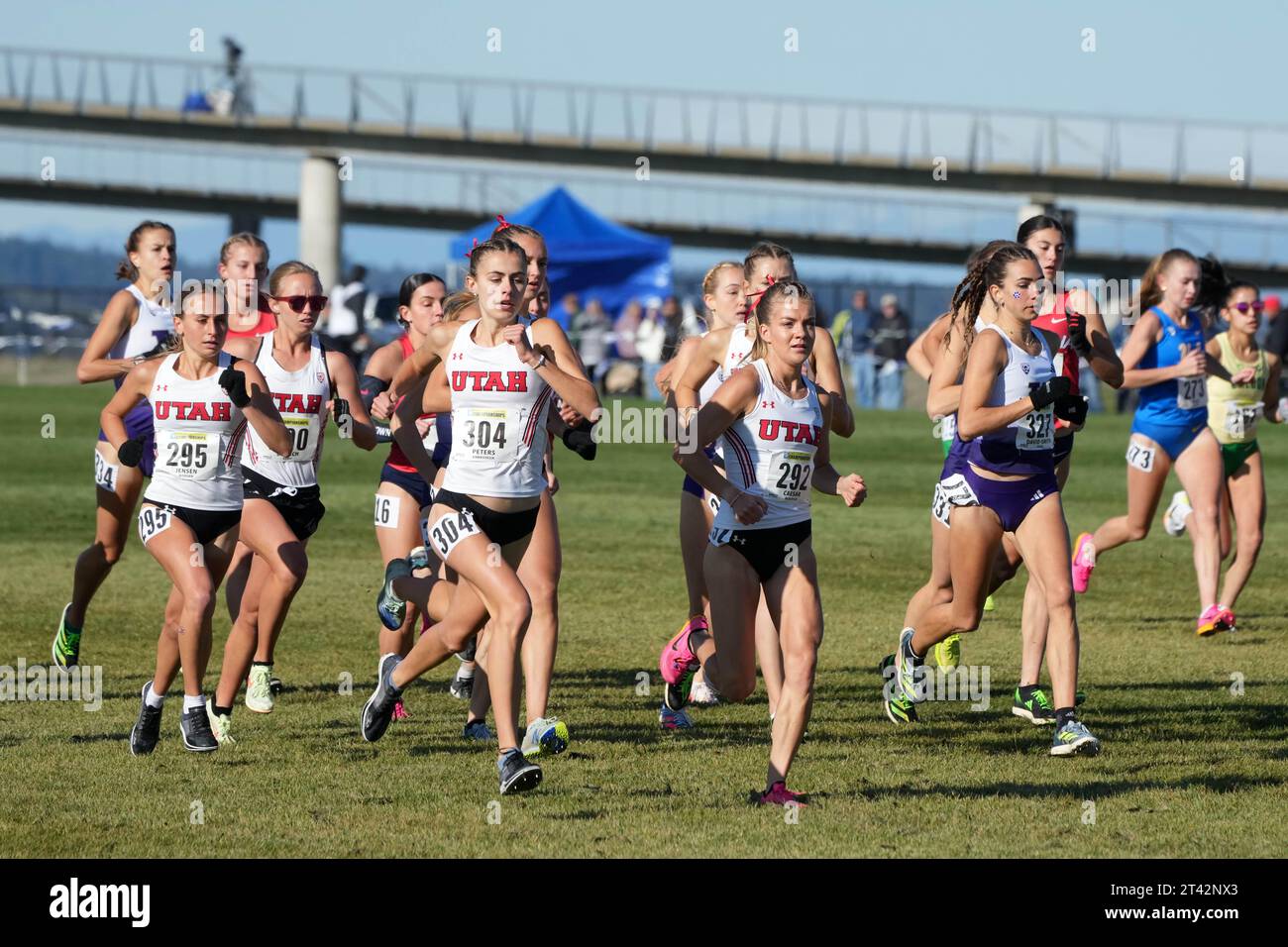 Morgan Jensen (295), Annastasia Peters (304) and McKaylie Caesar (292 ...