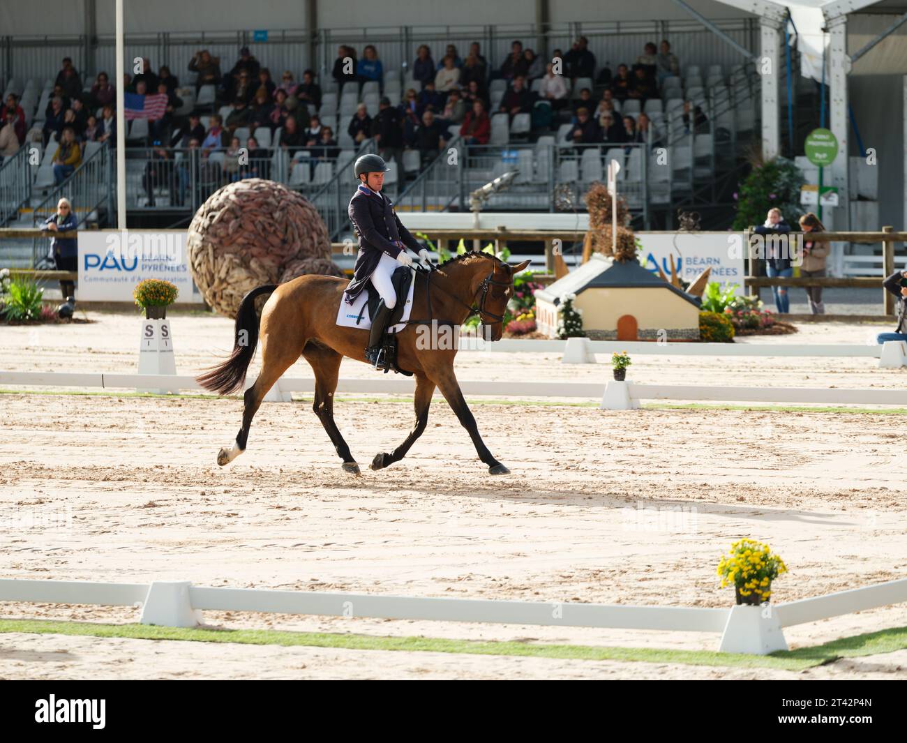 Phillip DUTTON of the United States with Z during the dressage test at ...
