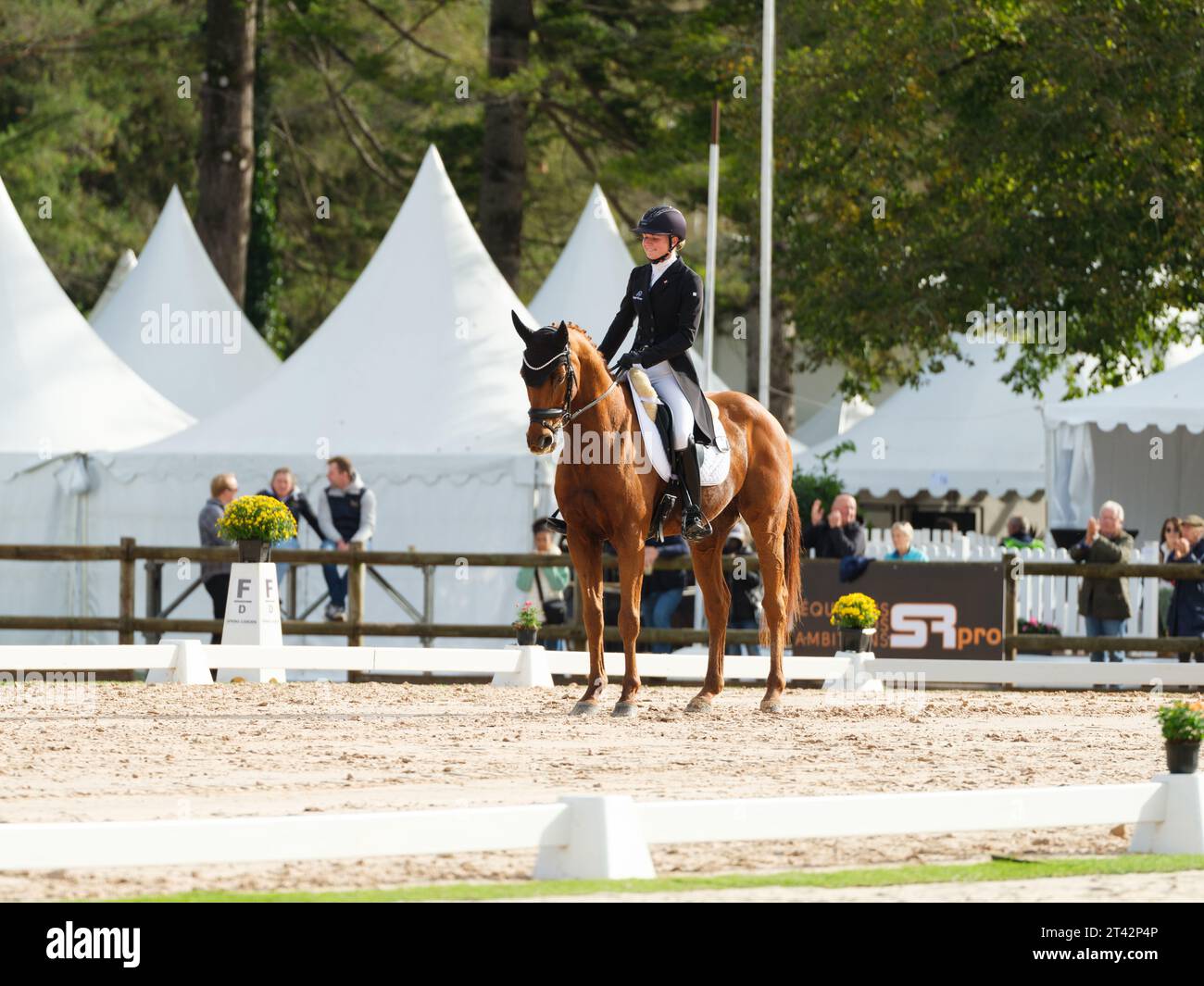 Lea SIEGL of Austria with Dsp Fighting Line during the dressage test at ...