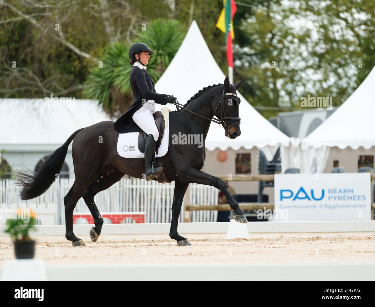 Samantha LISSINGTON of New Zealand with Ricker Ridge Sooty Gnz during ...
