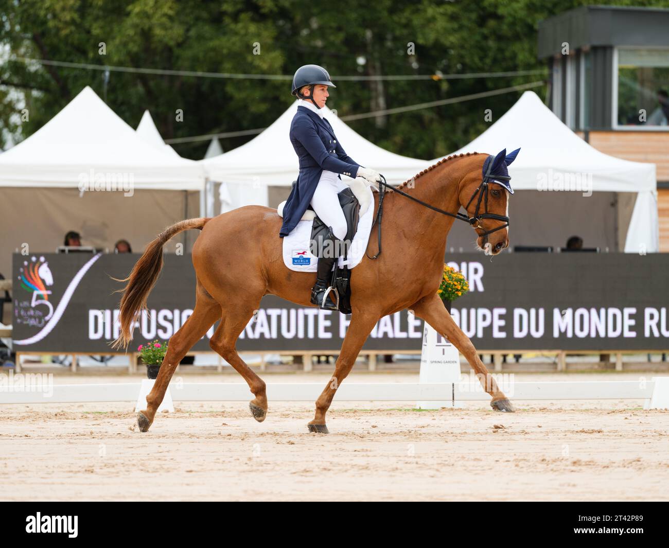 Alexandra KNOWLES of the United States with Morswood during the ...