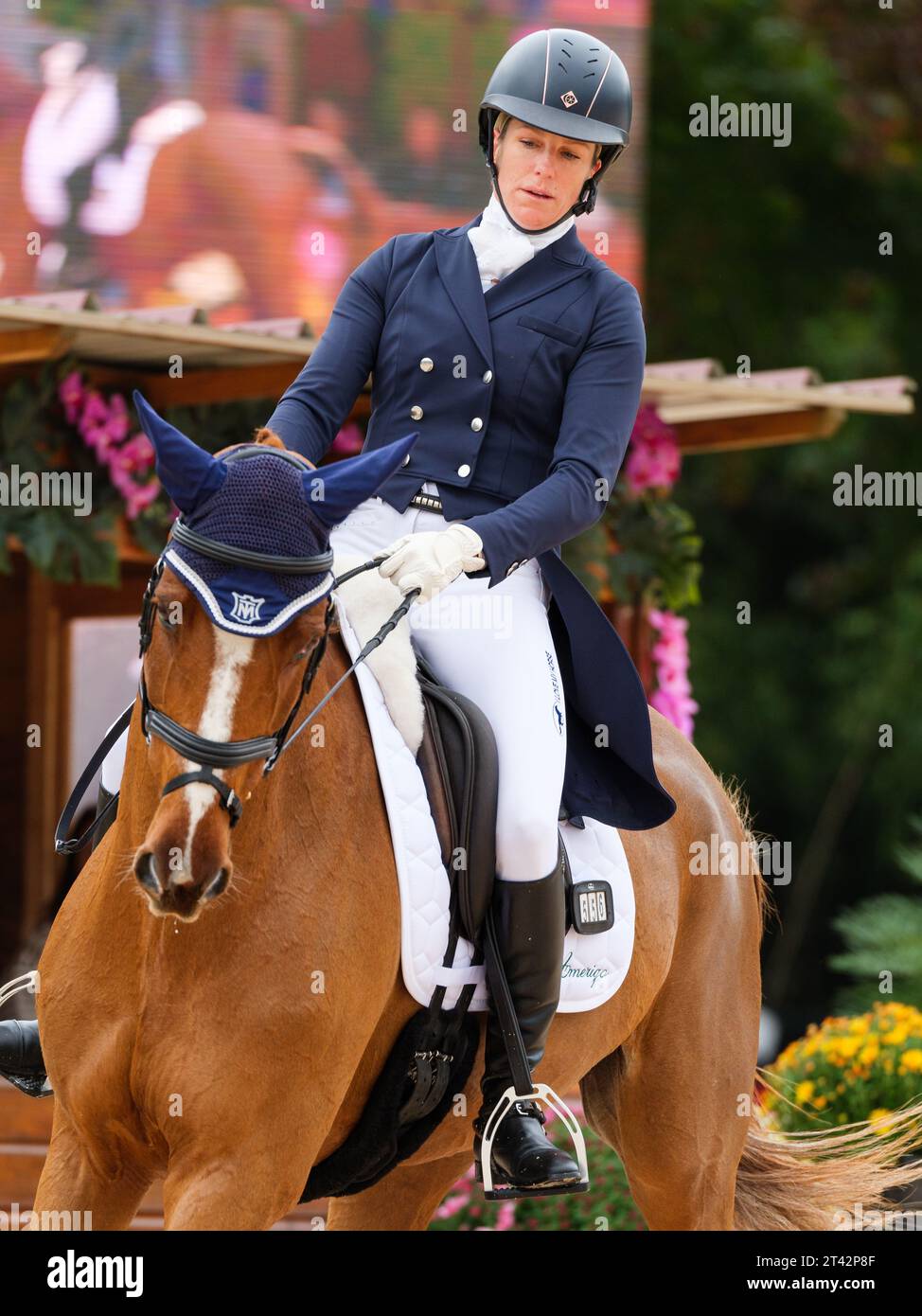 Alexandra KNOWLES of the United States with Morswood during the ...