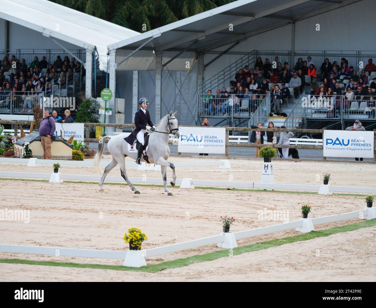 Isabella INNES KER of Great Britain with Highway during the dressage ...