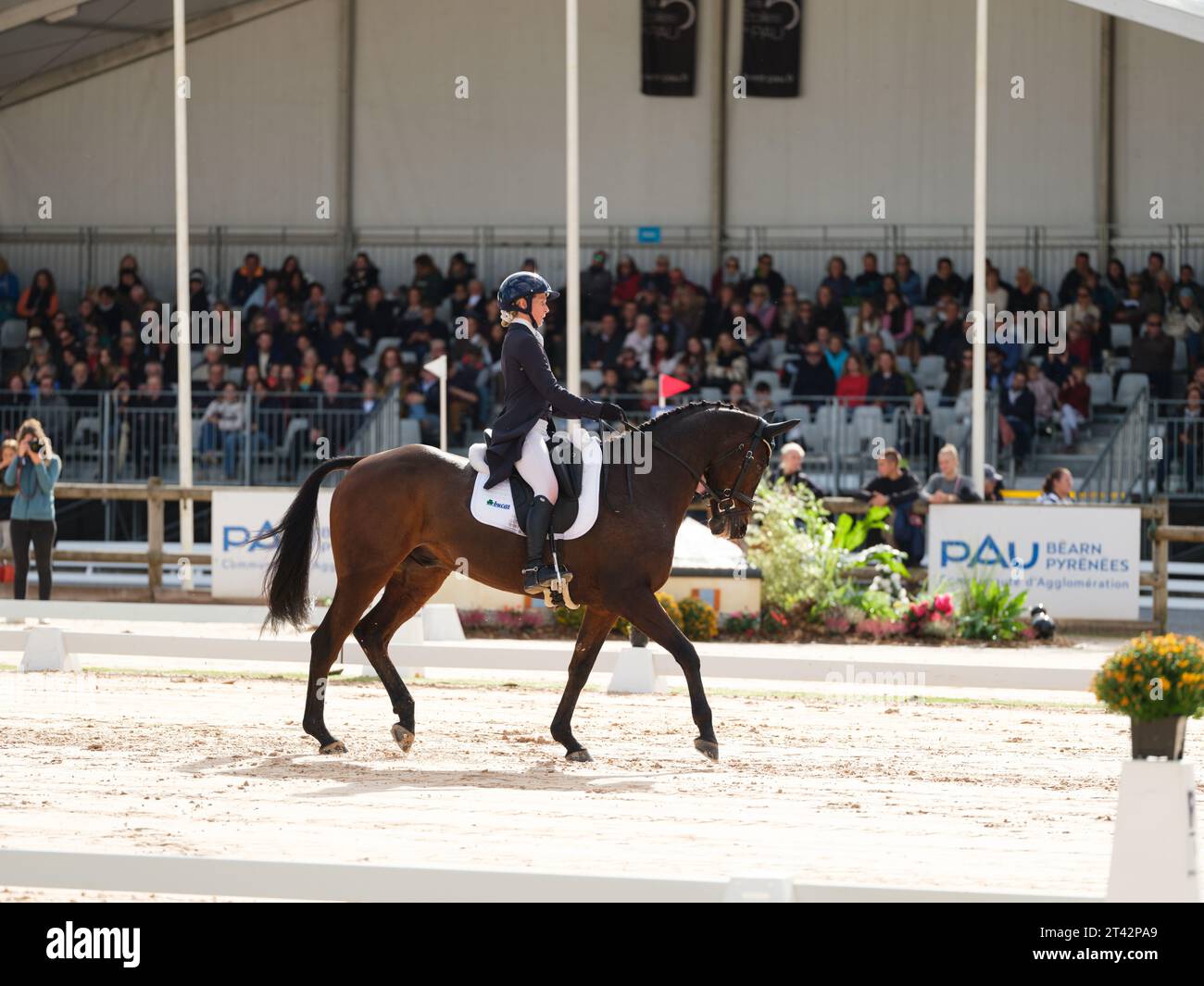 Sarah ENNIS of Ireland with Grantstown Jackson during the dressage test ...