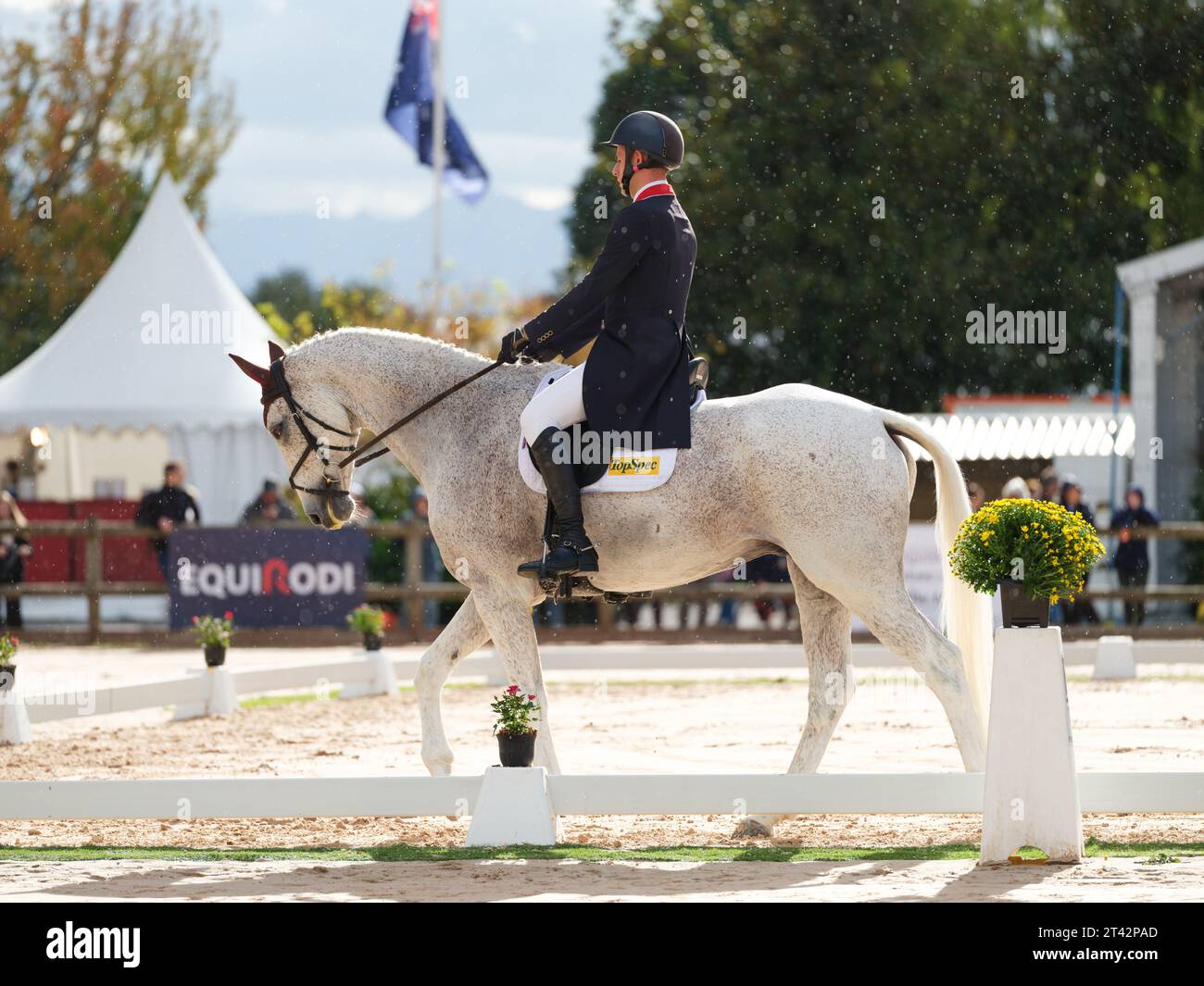 Wills OAKDEN of Great Britain with A Class Cooley during the dressage ...