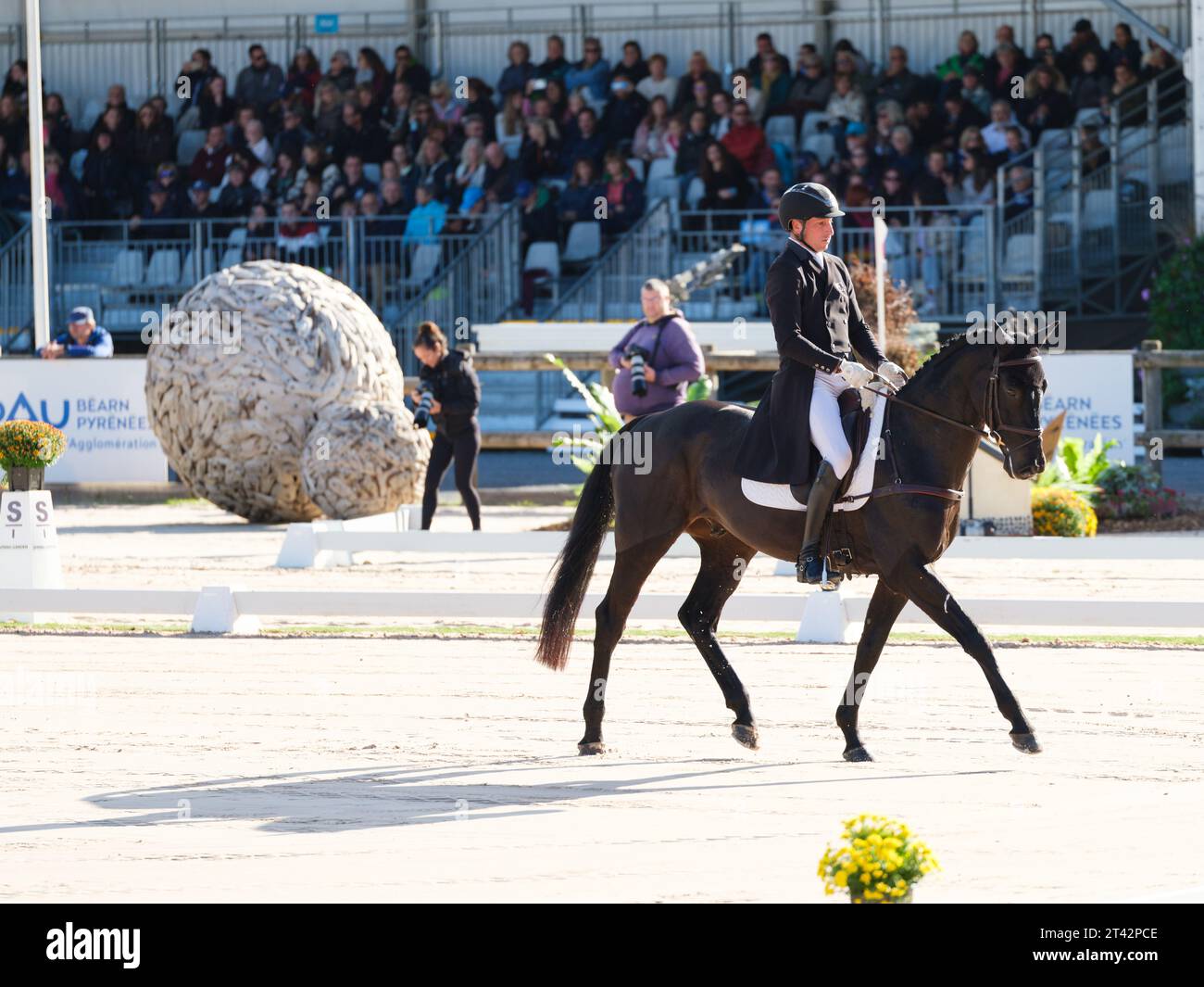Tim PRICE of New Zealand with Happy Boy during the dressage test at the ...