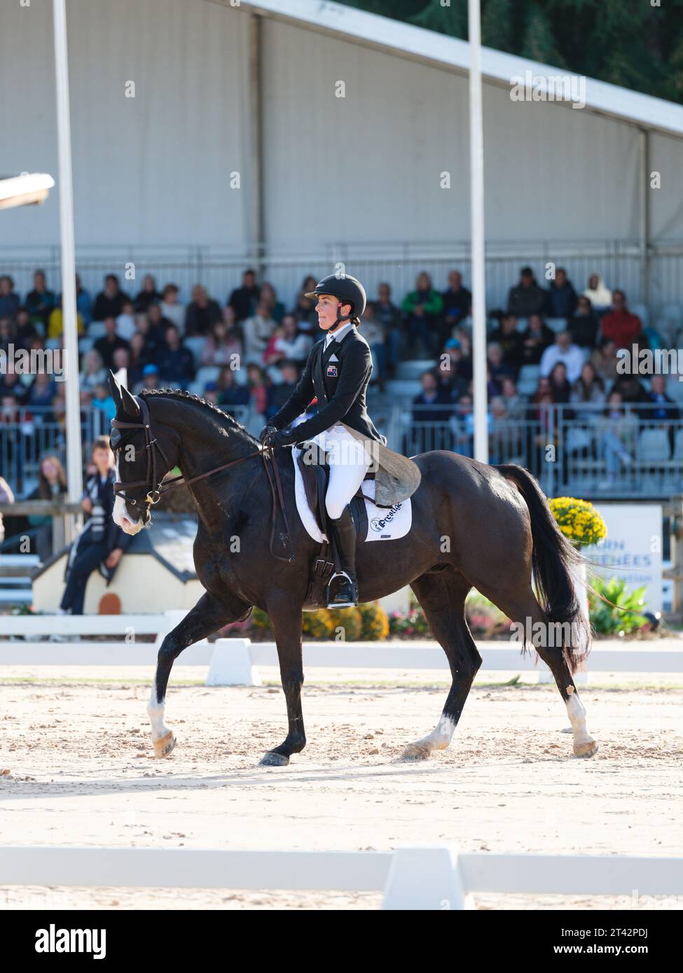 Muzi POTTINGER of New Zealand with Good Timing during the dressage test ...