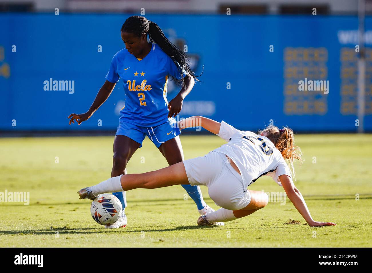 Wallis annenberg stadium hi-res stock photography and images - Alamy