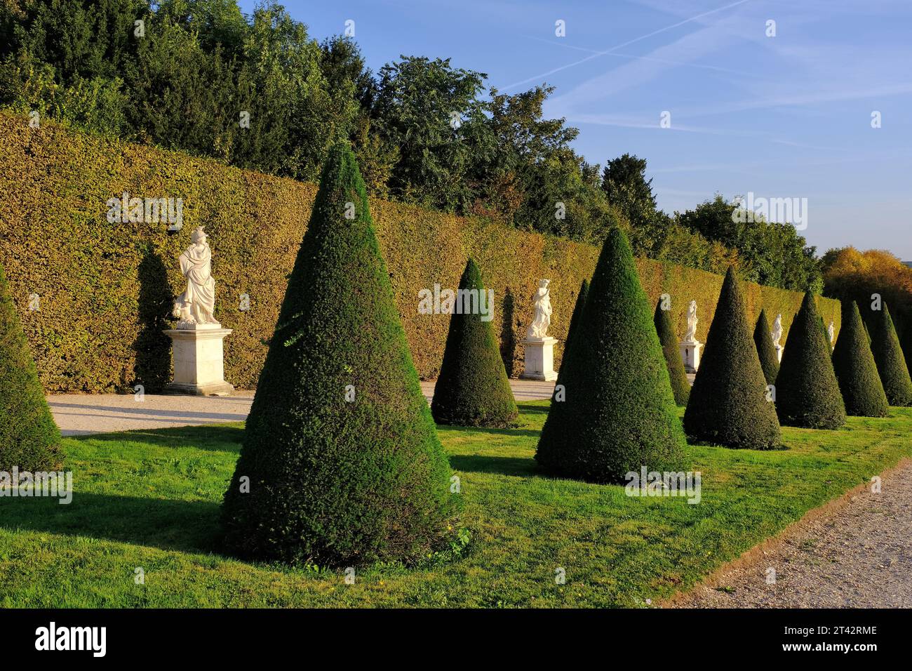 Conical trimmed bushes hi-res stock photography and images - Alamy