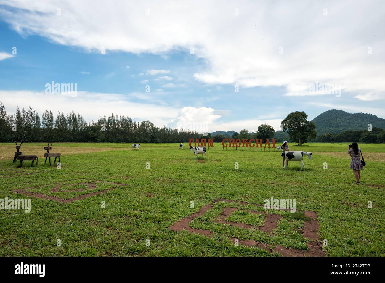 Chok Chai Farm, Khao Yai, Thailand - Jun 2, 2019: Beautiful stunning landscape in Chokchai Farm ...