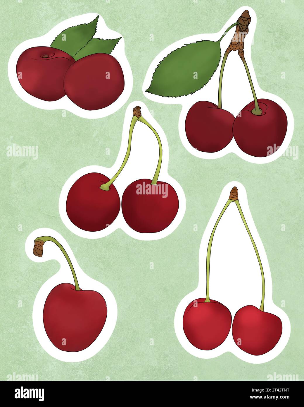 Set Delicious fresh ripe cherries fruit flat illustration design ...