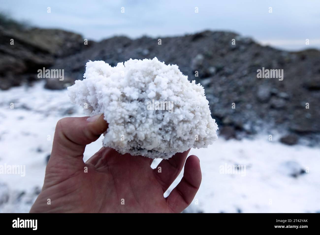 Geology and Geochemistry. Saline land, limestone evaporite, gypsum ...