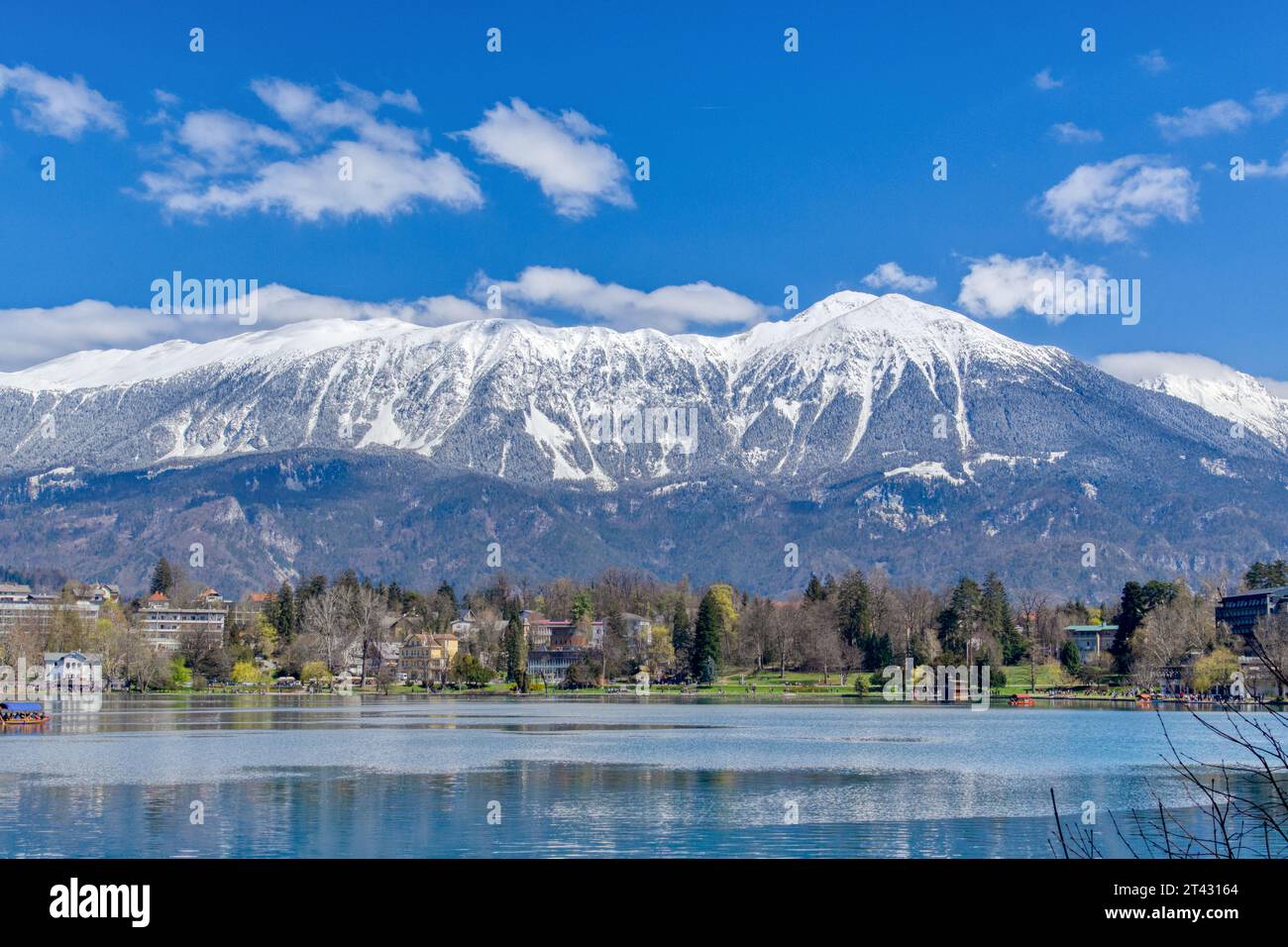 Lake Bled and snow-capped mountains in the background Stock Photo - Alamy