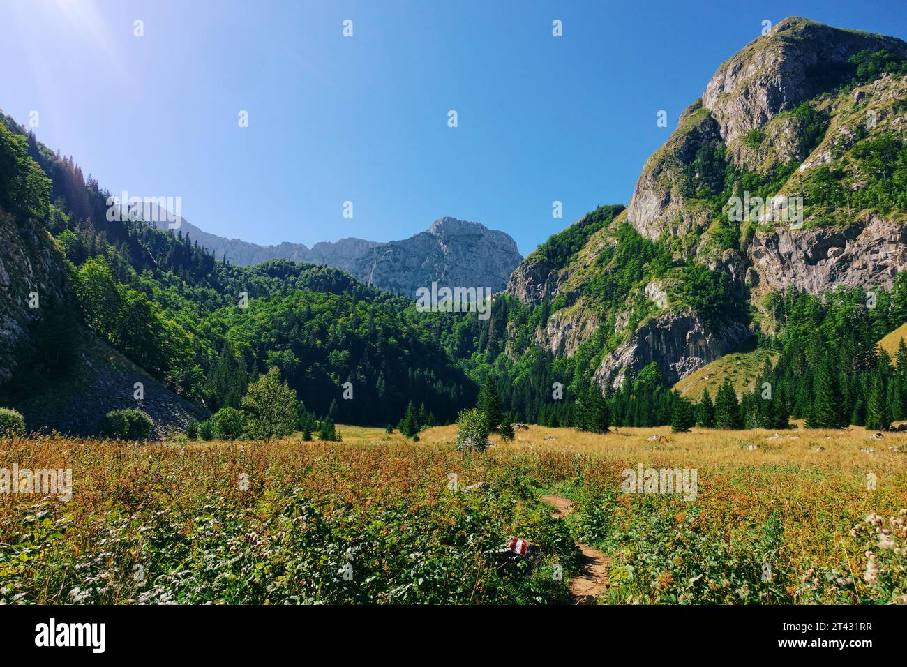 valley in mountains of Nature Park Piva, Montenegro Stock Photo - Alamy