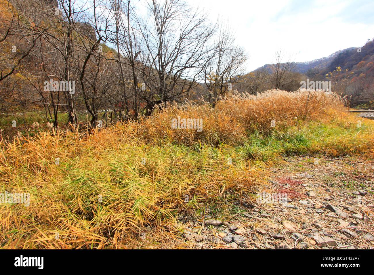 GuanMenShan scenic natural landscape, Benxi City, Liaoning Province ...