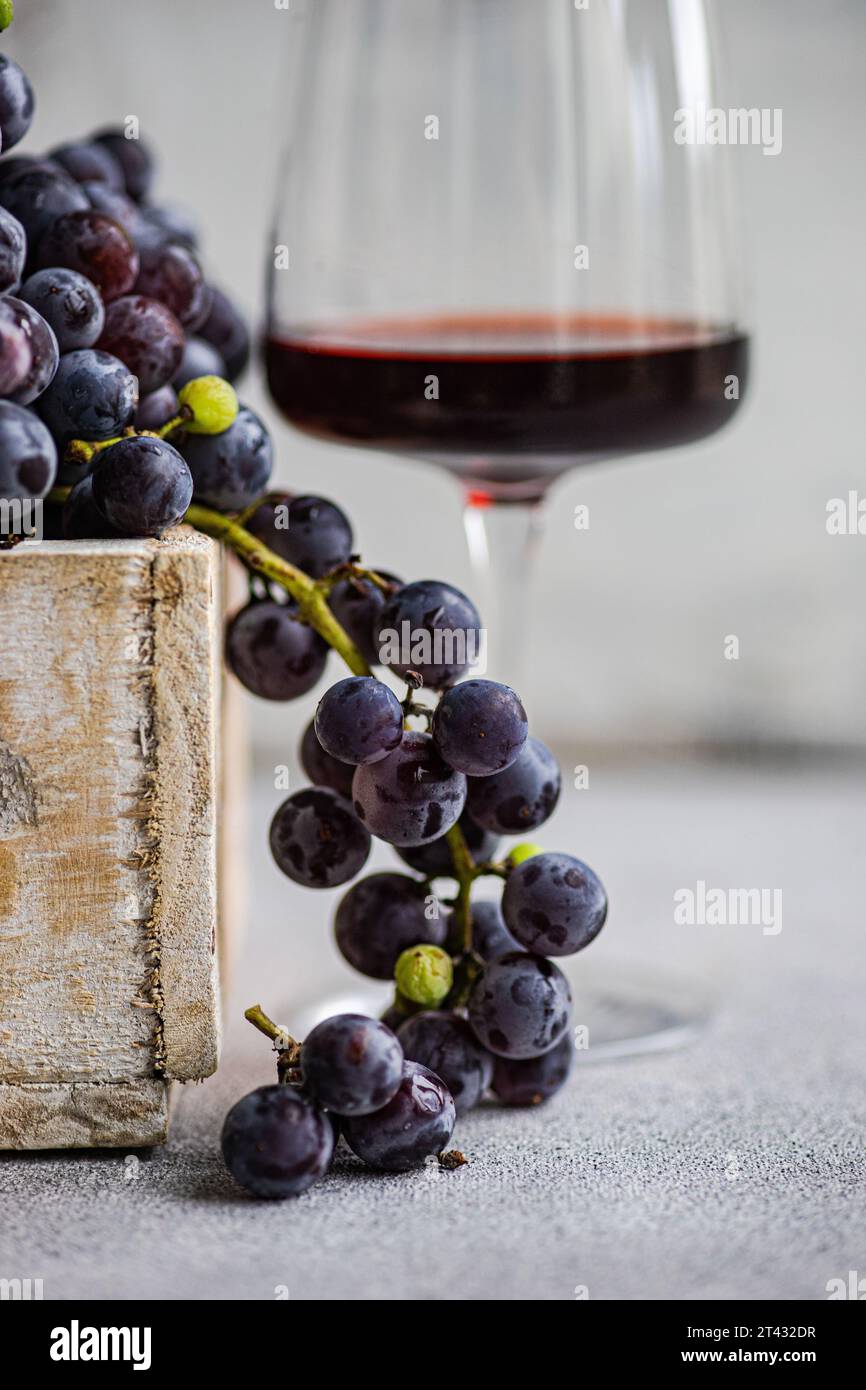 Saperavi grape hi-res stock photography and images - Alamy