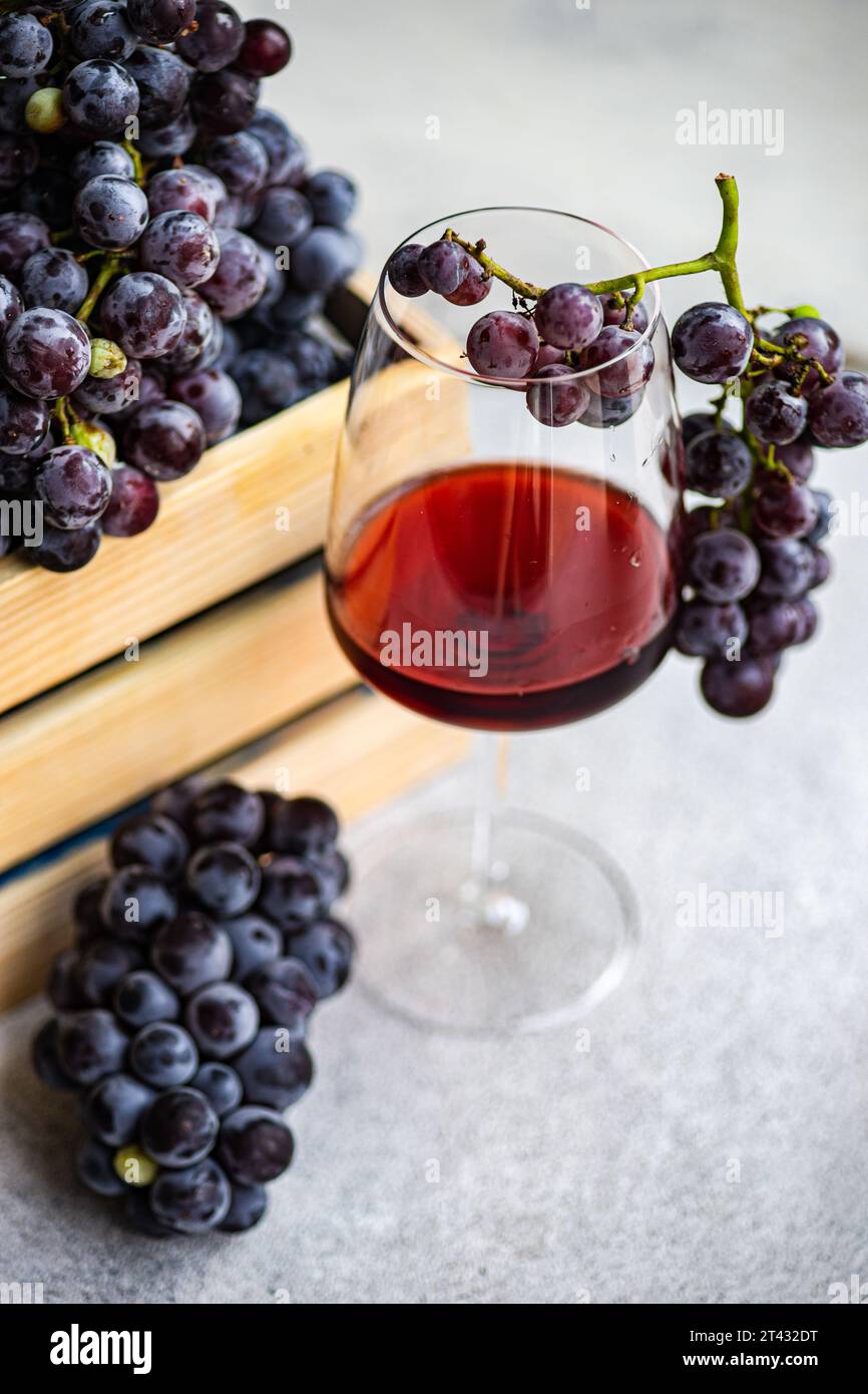Saperavi grape hi-res stock photography and images - Alamy