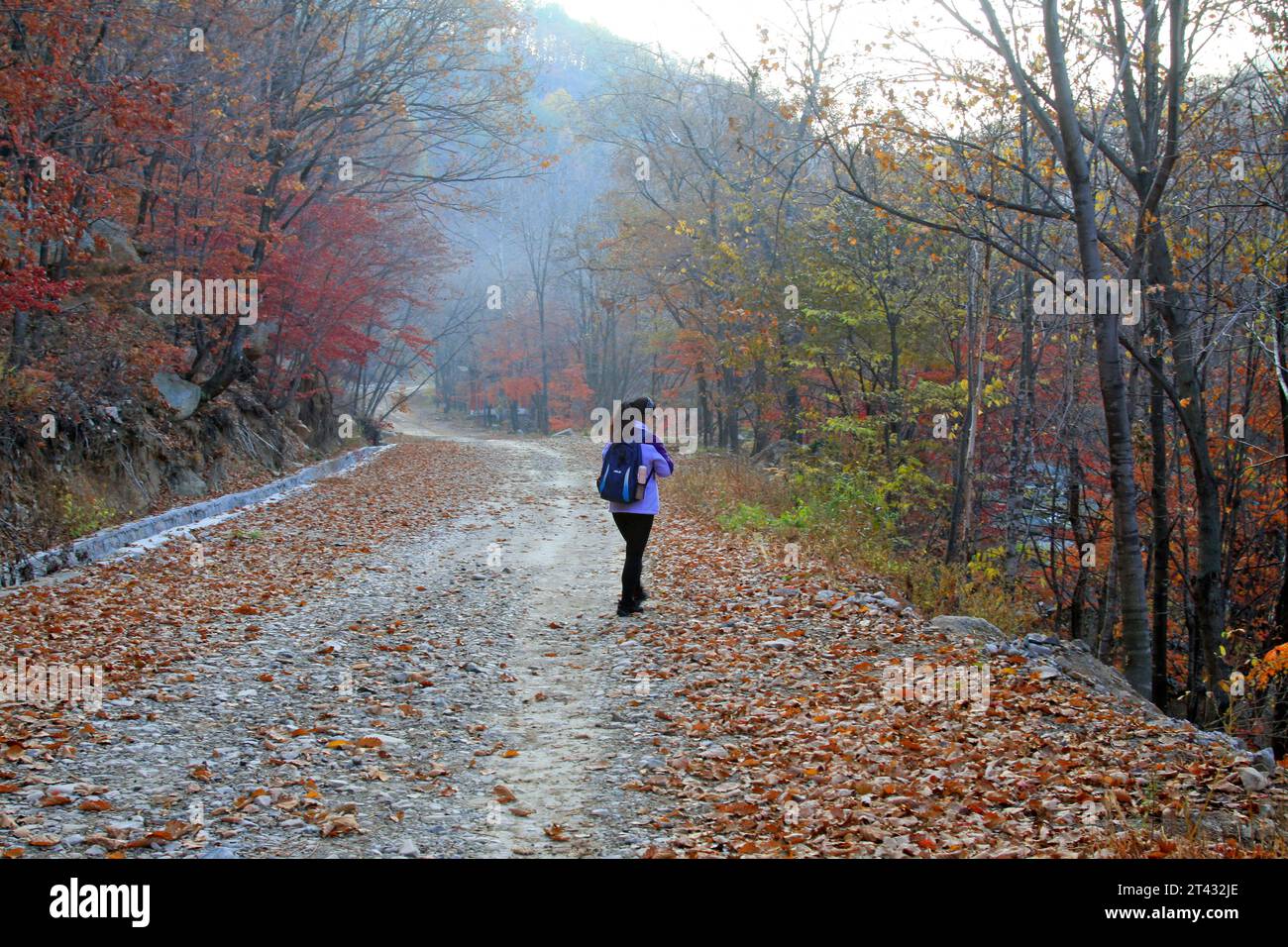 BENXI CITY- OCTOBER 12: GuanMenShan scenic natural landscape and ...