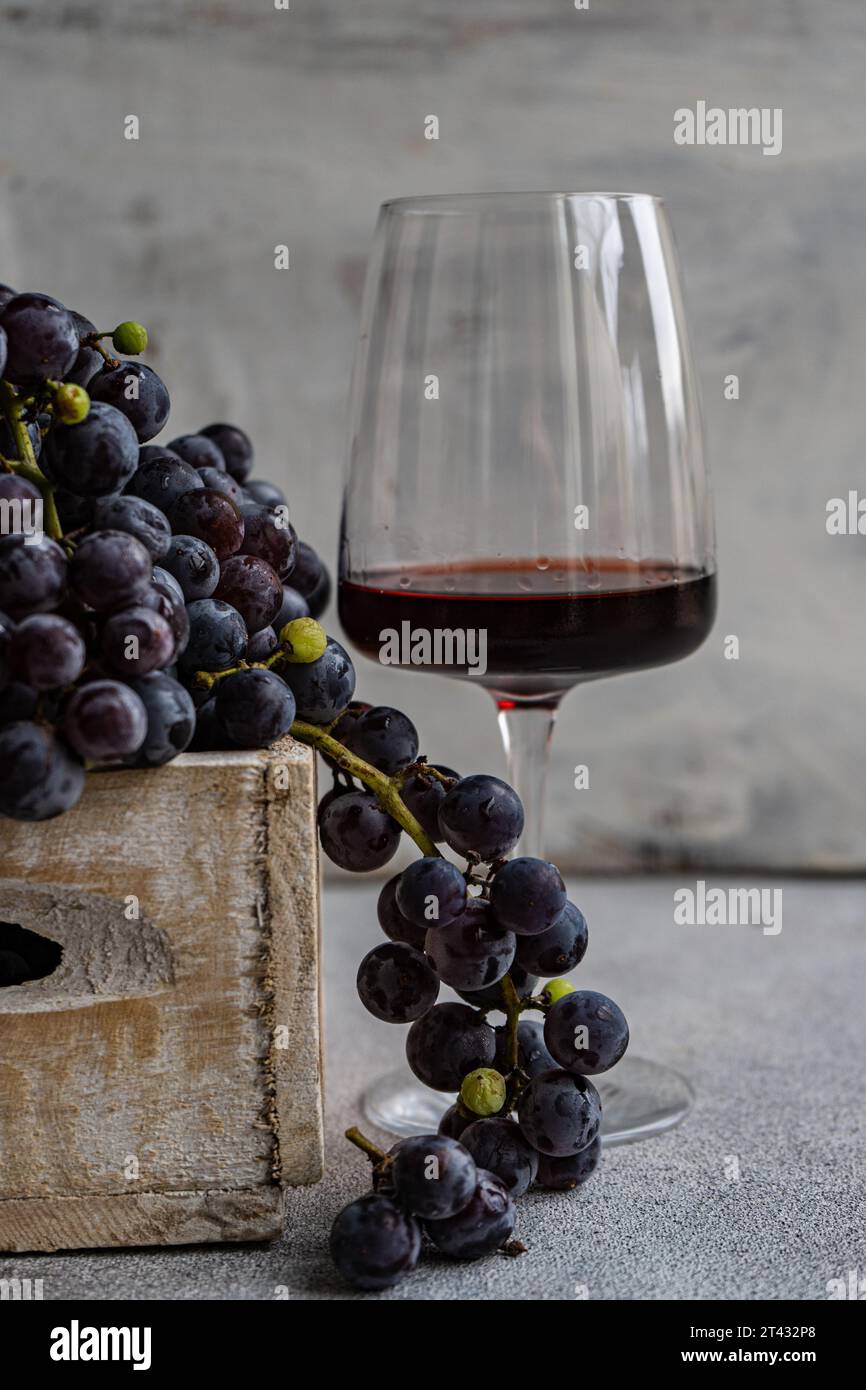 Saperavi grape hi-res stock photography and images - Alamy
