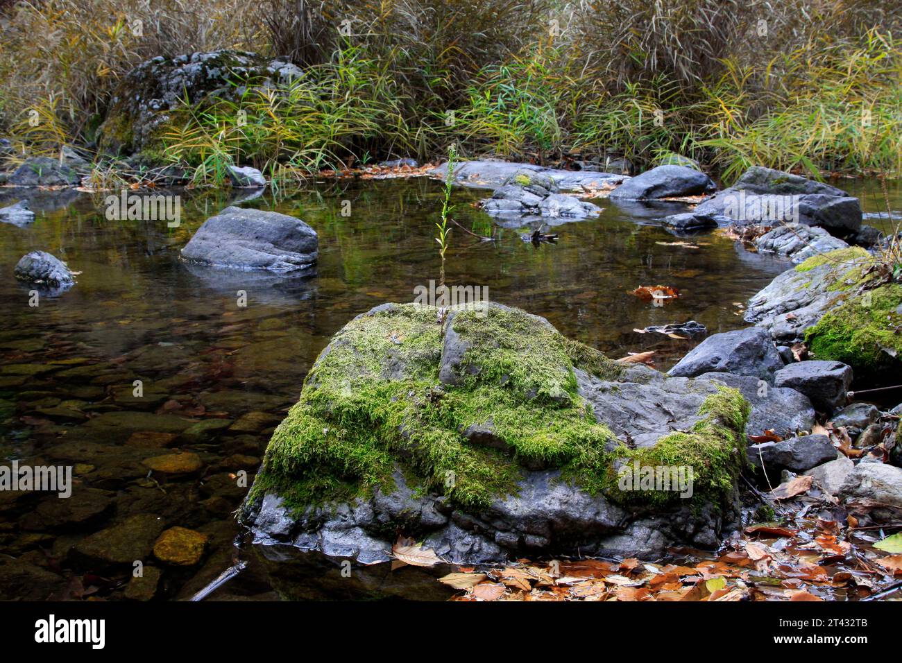 Water and rock, closeup of photo Stock Photo - Alamy