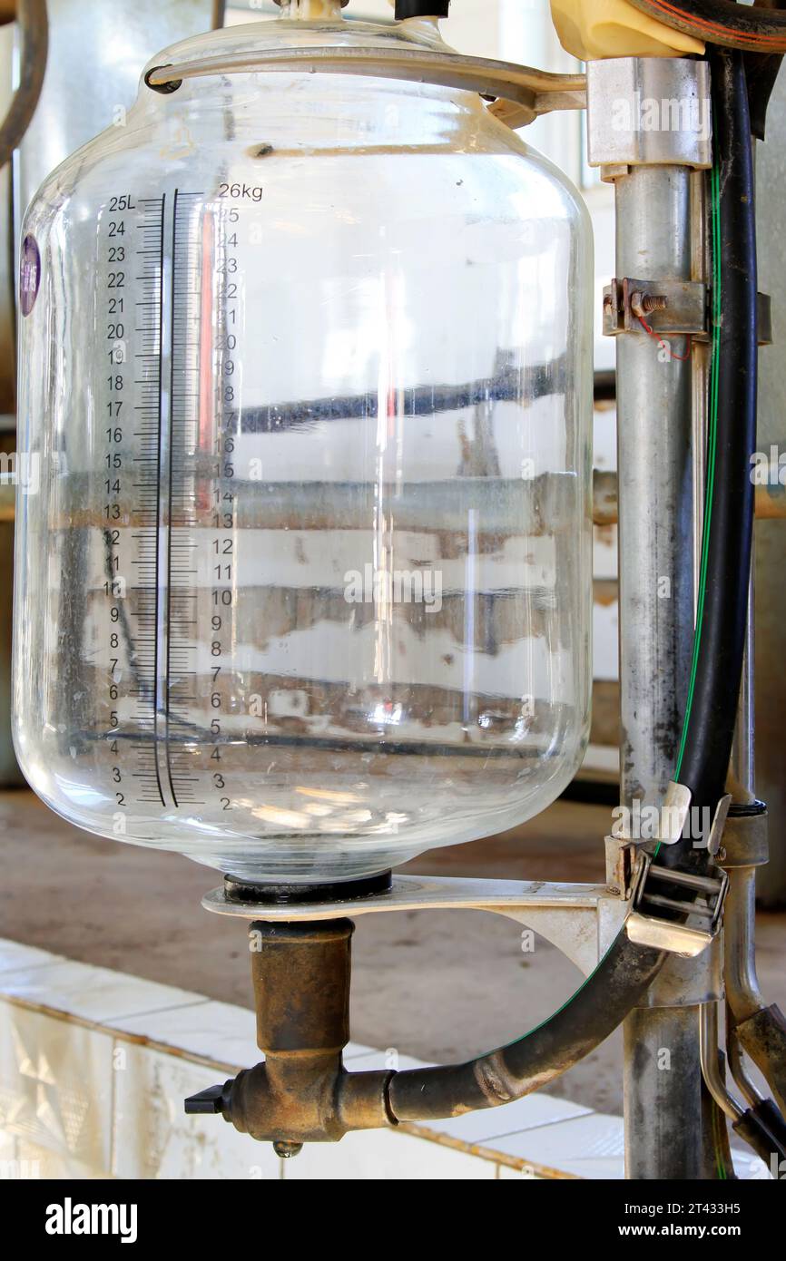 mechanized milking pipes in the dairy farms, closeup of photo Stock ...