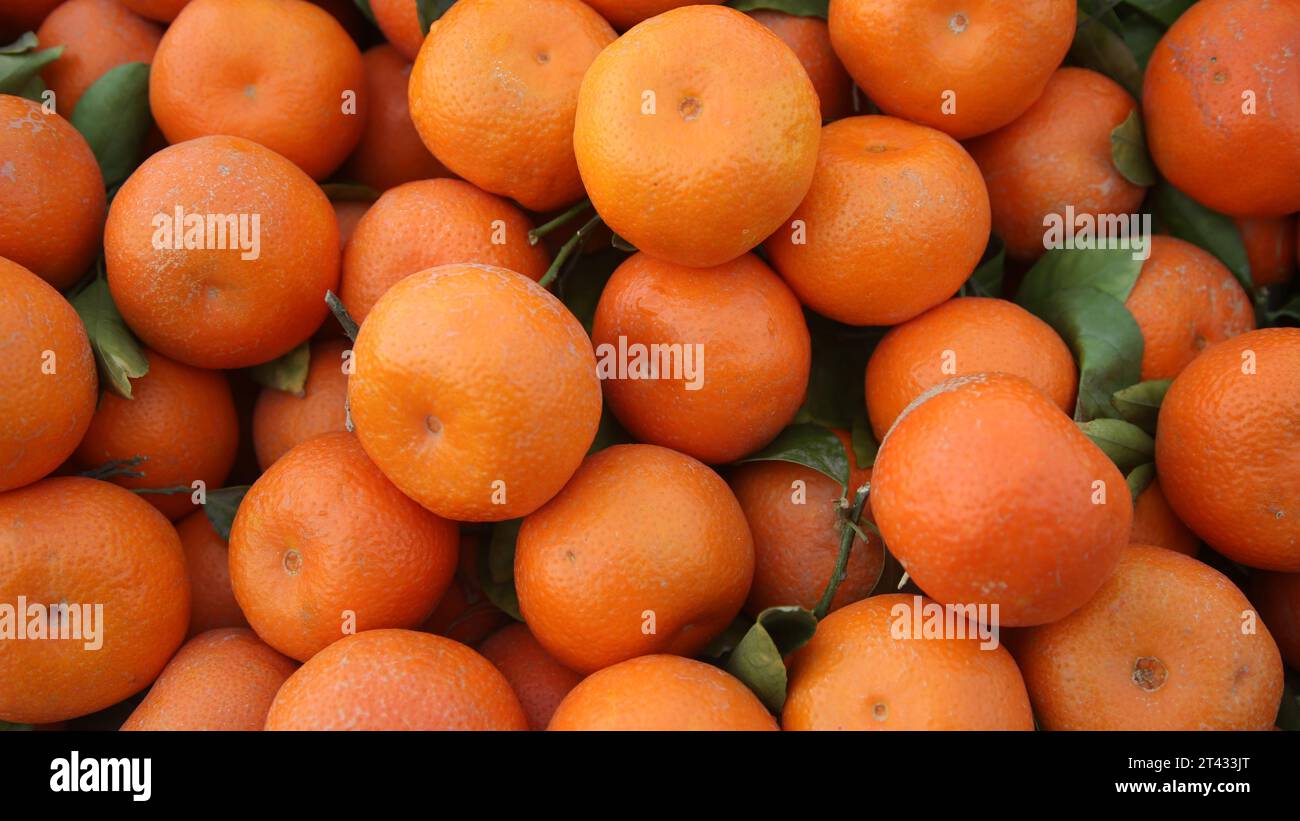 "Bold and Beautiful: The Power of Orange Stock Photo - Alamy