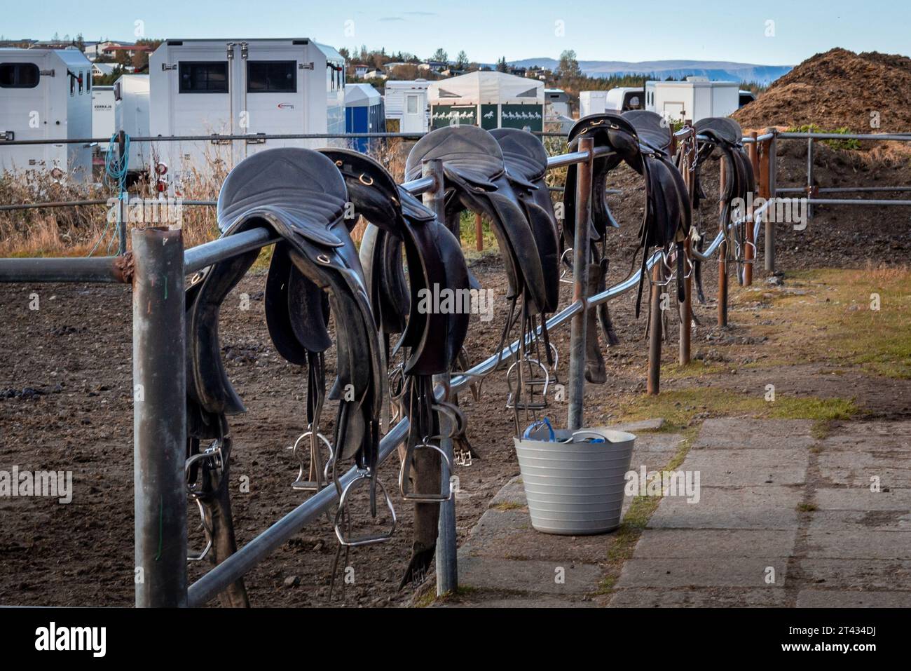 Horse saddles hanging in row on the stable fence Stock Photo - Alamy