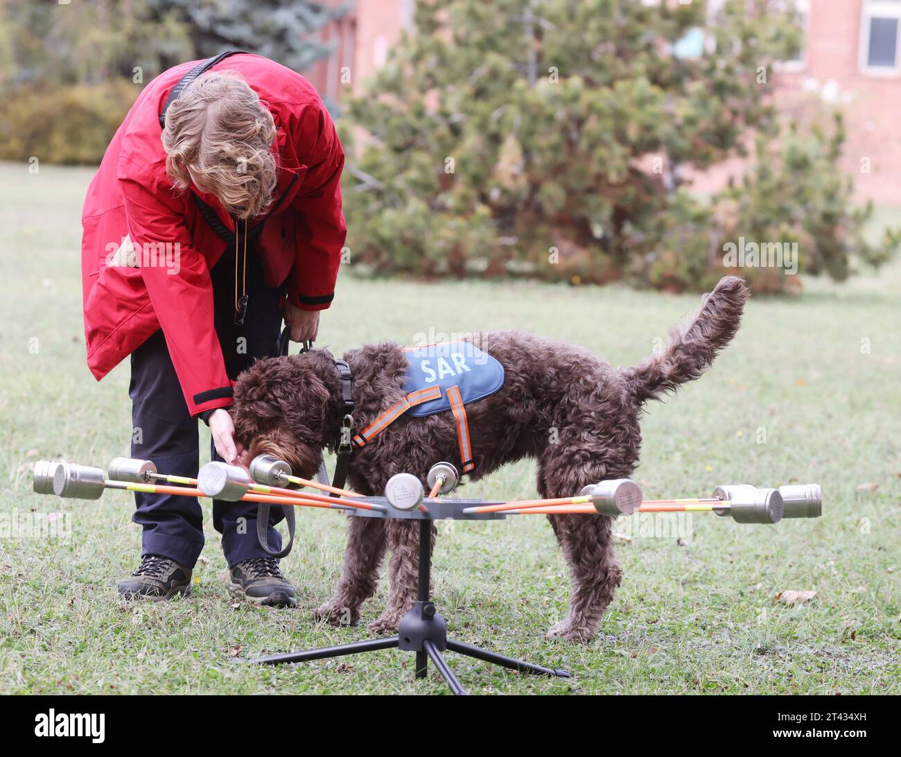 Erfurt, Germany. 28th Oct, 2023. Dog handler Merle Petersen trains with ...