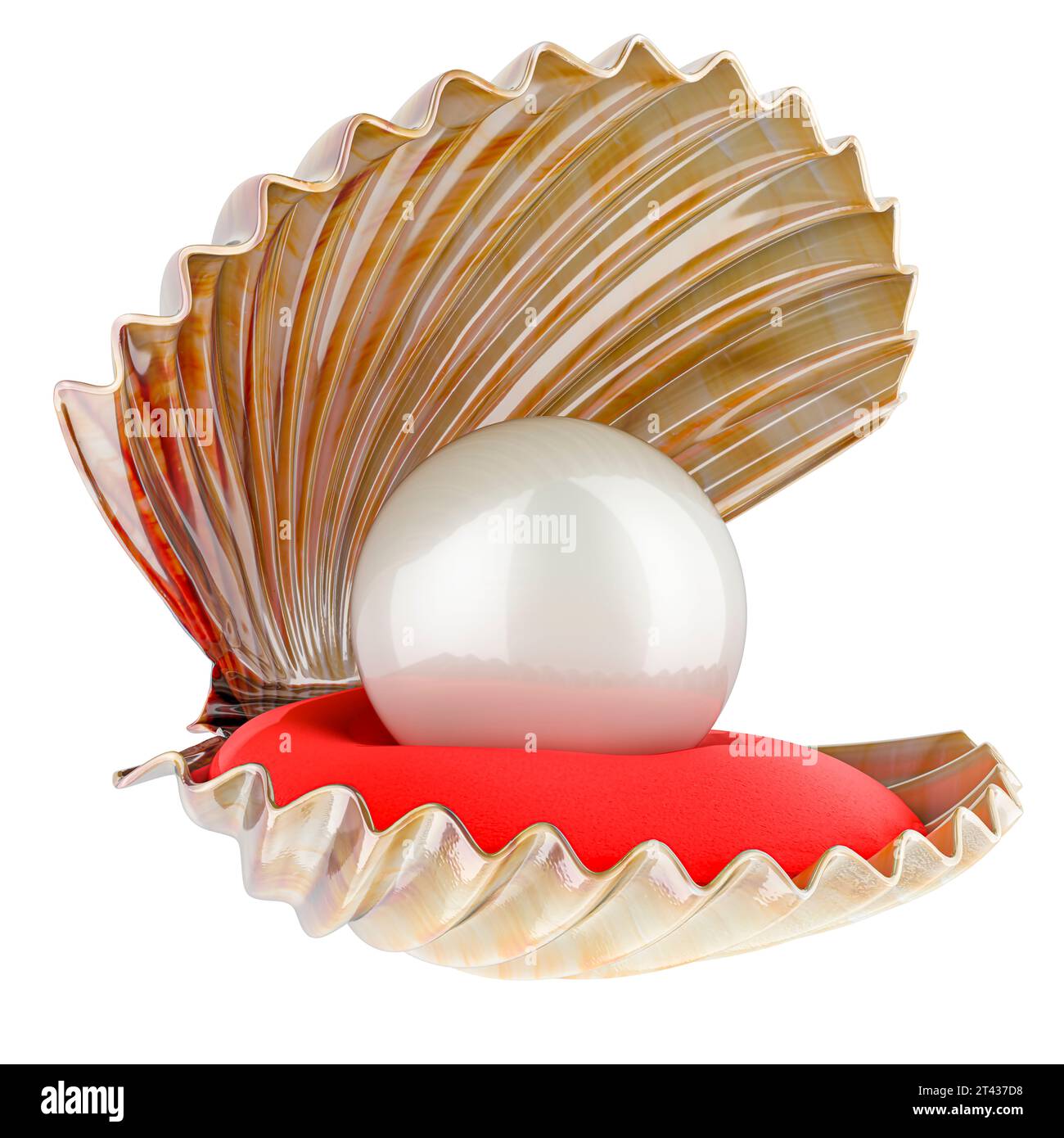 Pearl inside Seashell. 3d rendering isolated on white background Stock ...