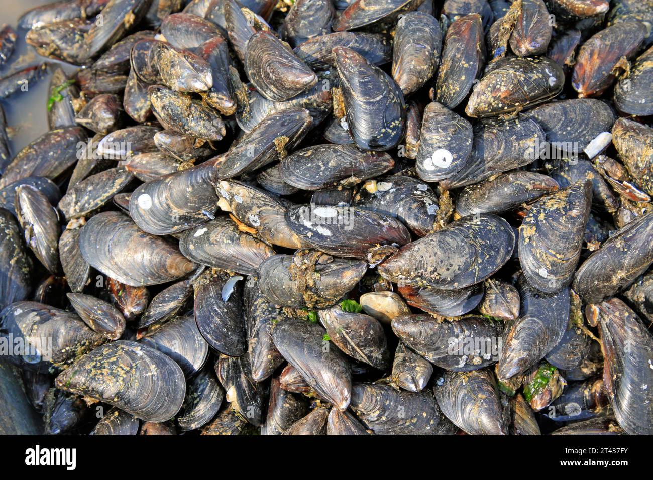 Stacked pictures hi-res stock photography and images - Alamy
