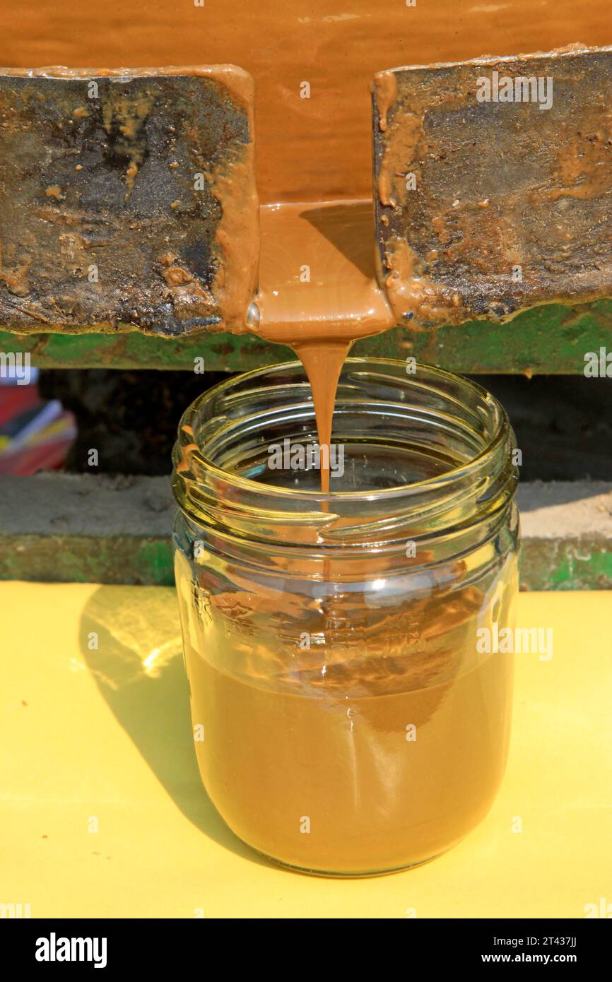 oil dregs flowing into glass bottles in a manual mill, china Stock ...