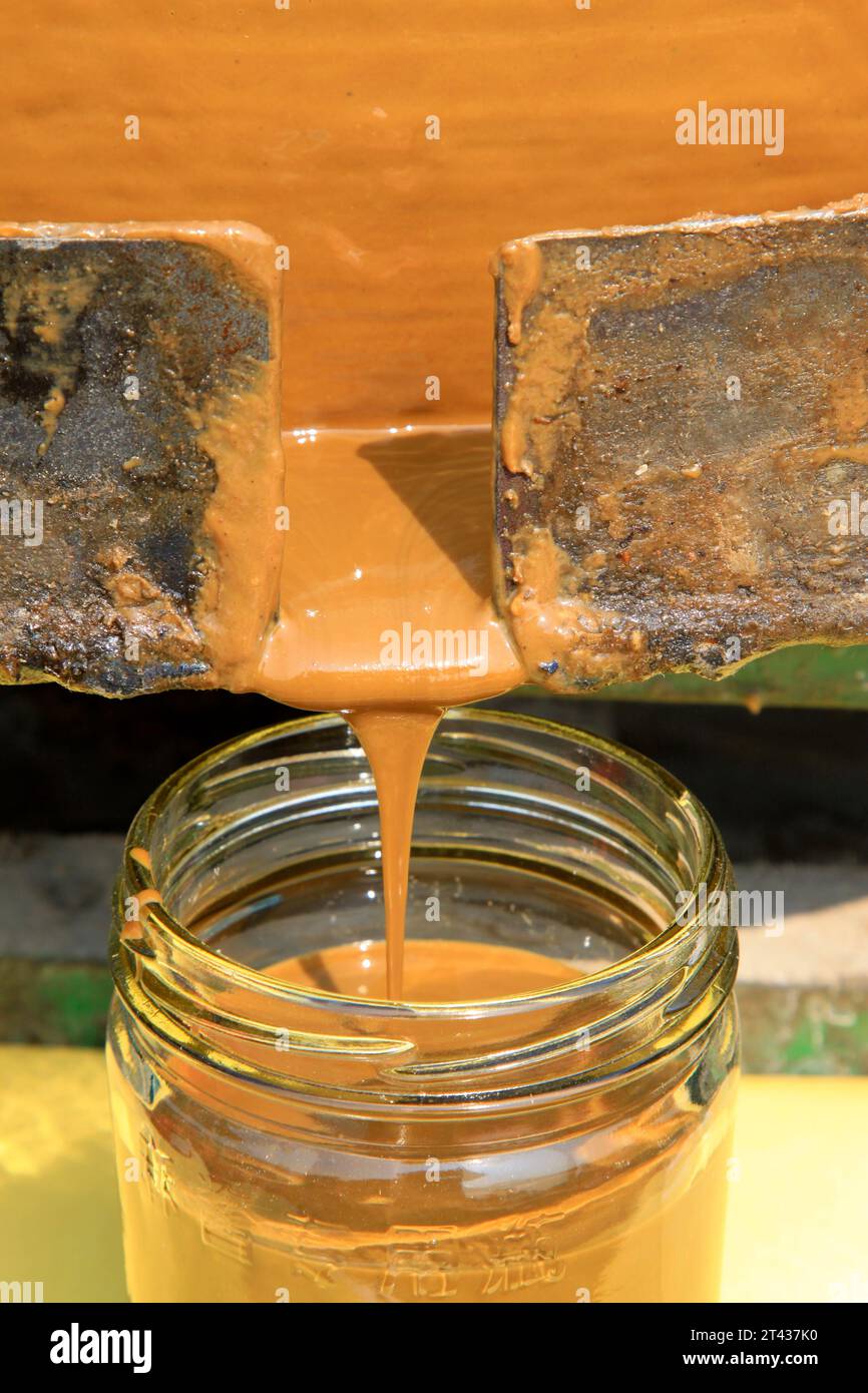 Oil mill bottles hi-res stock photography and images - Alamy