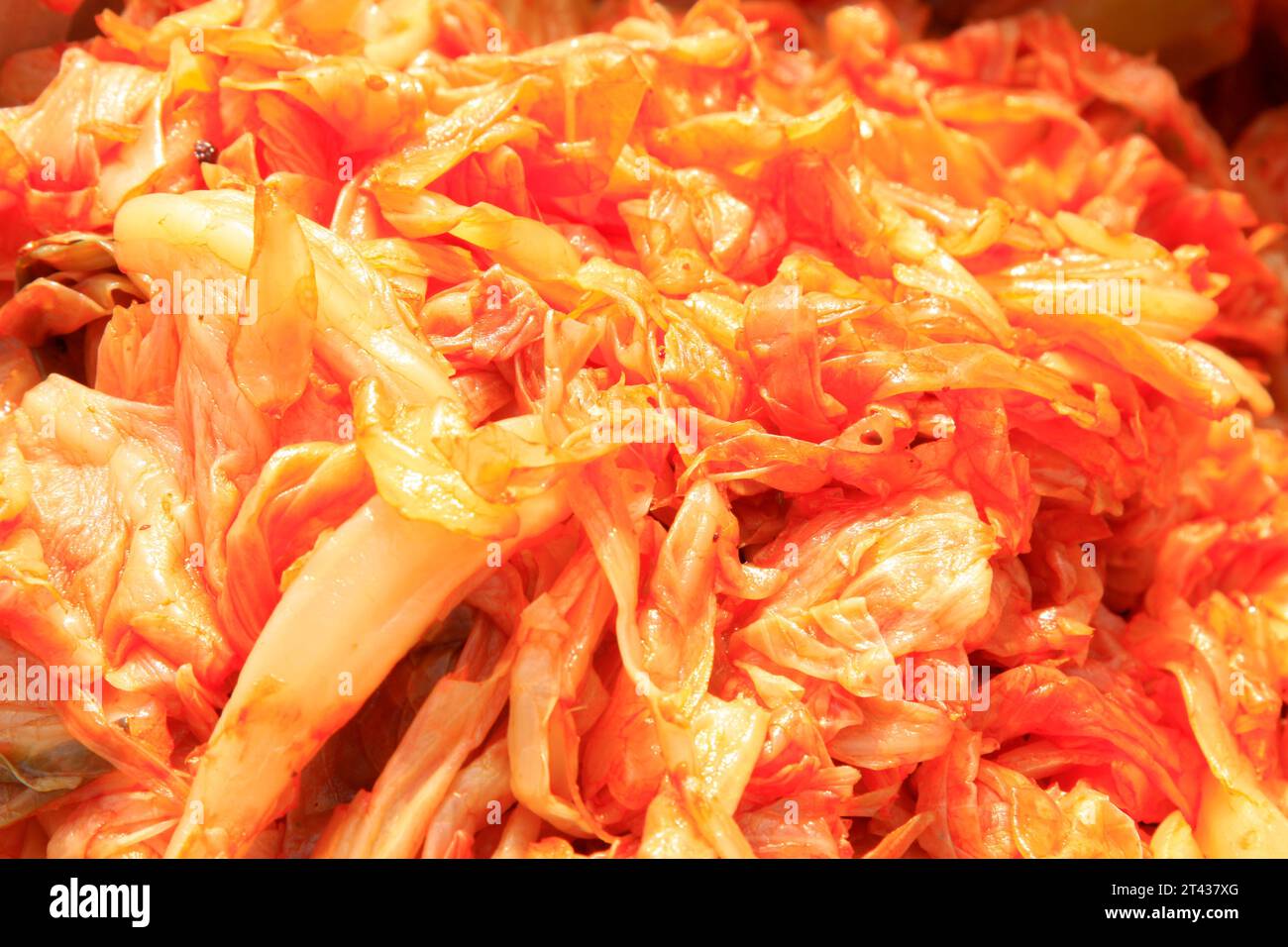 Chinese traditional pickles, pickled cabbage, closeup of photo Stock ...