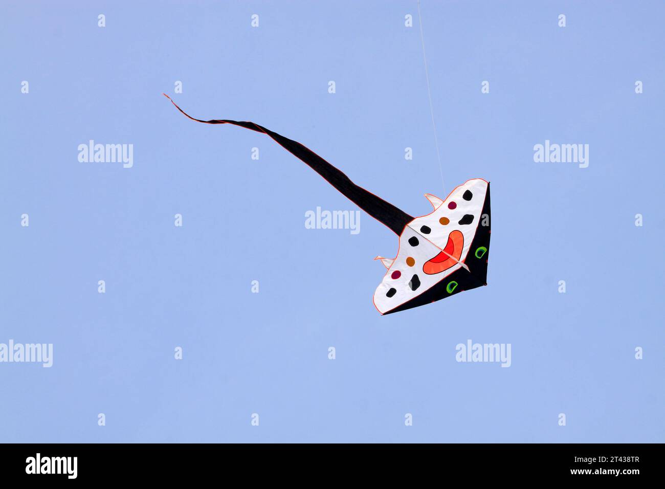 sole modelling kite floating in the sky Stock Photo - Alamy