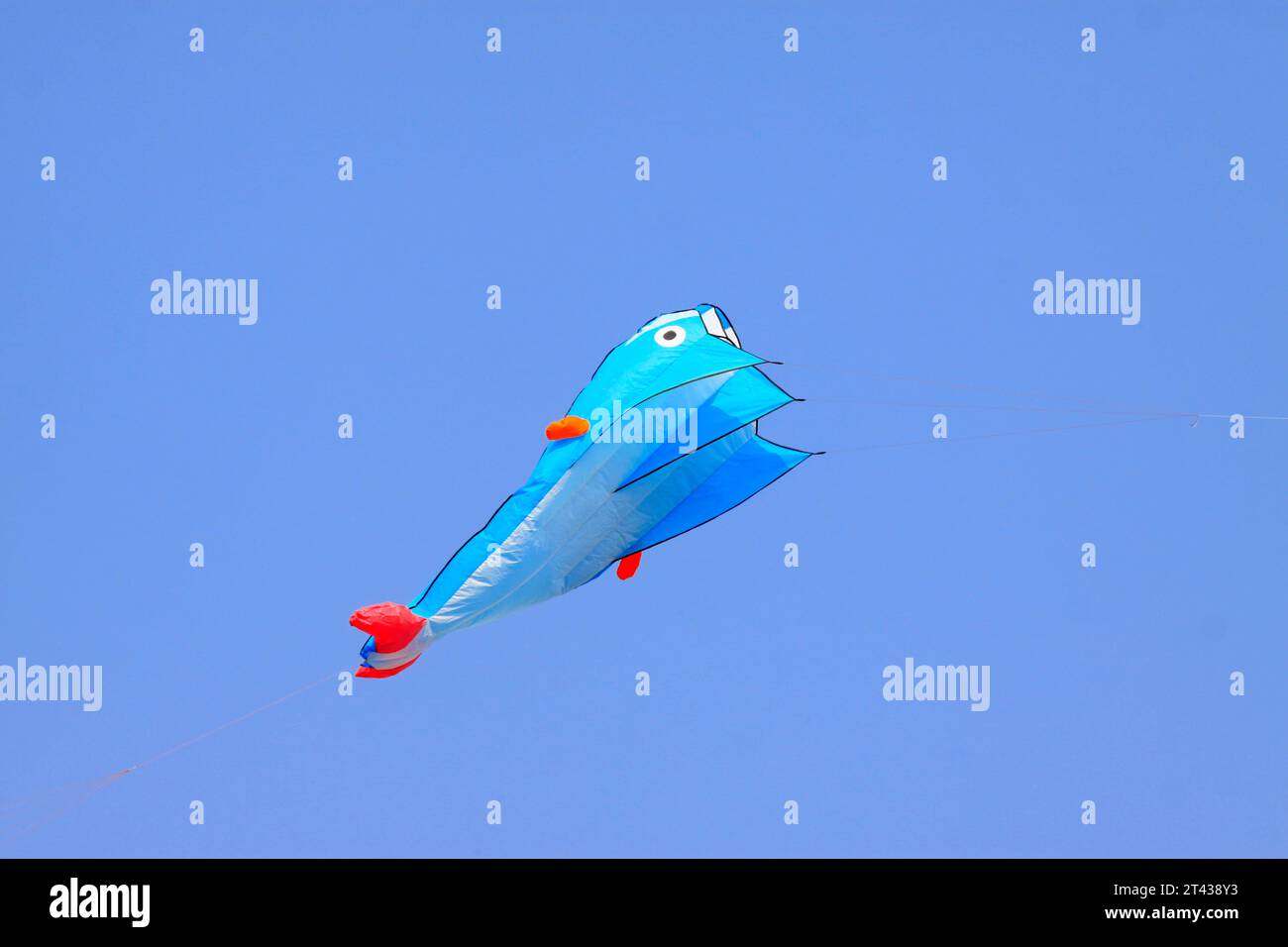 Shark kite flying in hi-res stock photography and images - Alamy