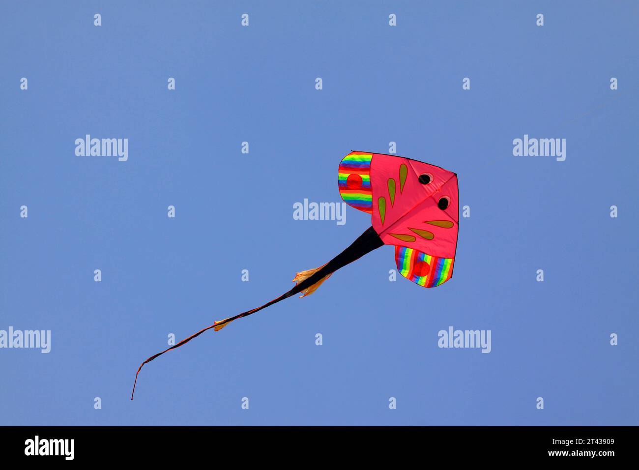 sole modelling kite floating in the sky Stock Photo - Alamy